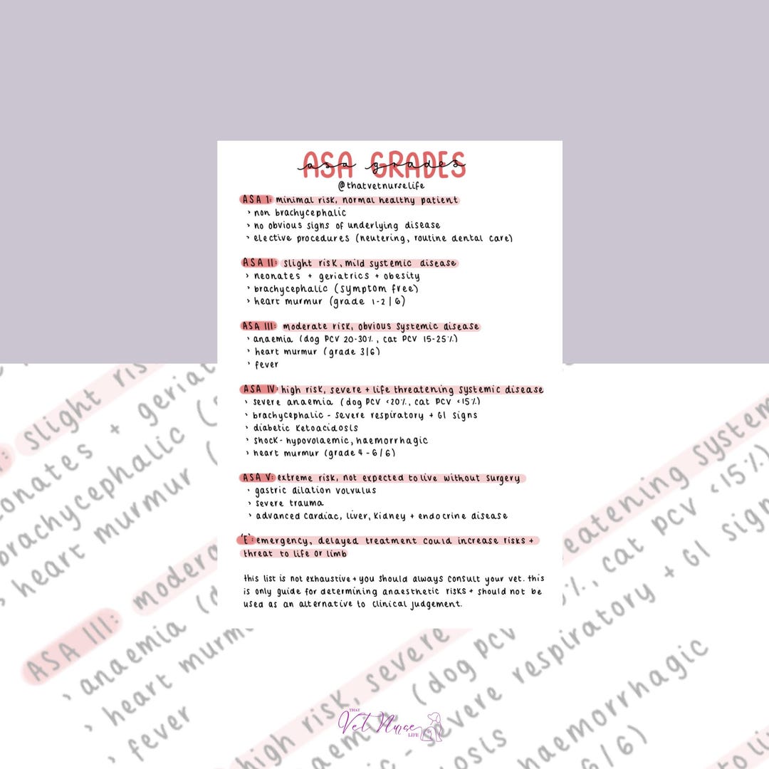 A5 ASA Grade Anaesthetic Risk Quick Reference Poster Student Veterinary ...