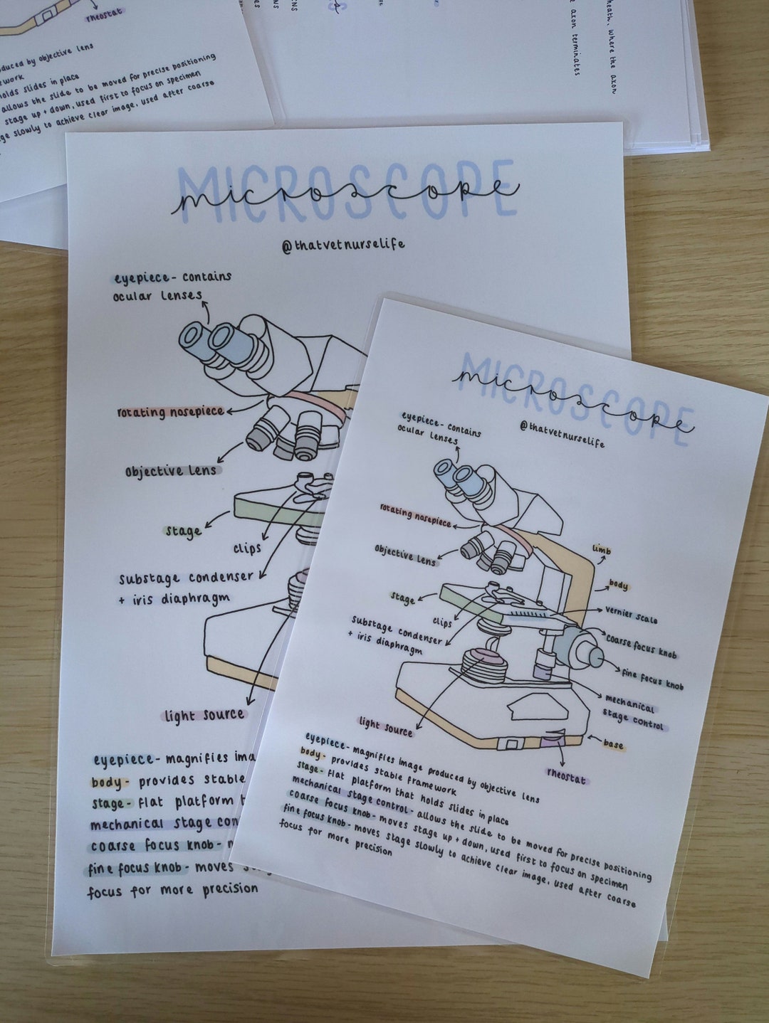 A4/A5 Microscope Labelled Illustrated Poster Basic Laboratory for ...