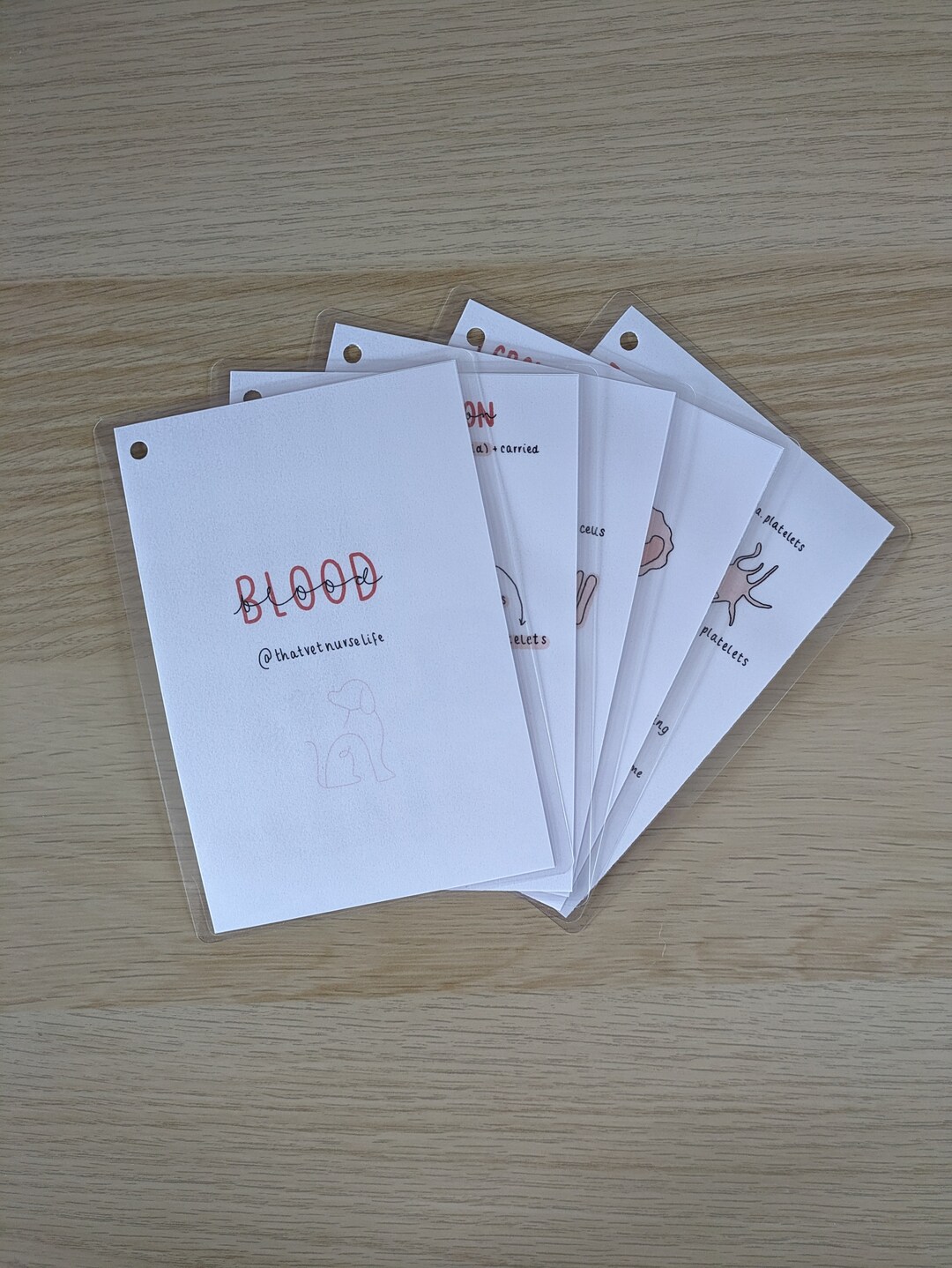 A6 Blood Flashcards for Veterinary Nurse Anatomy Physiology Cards ...