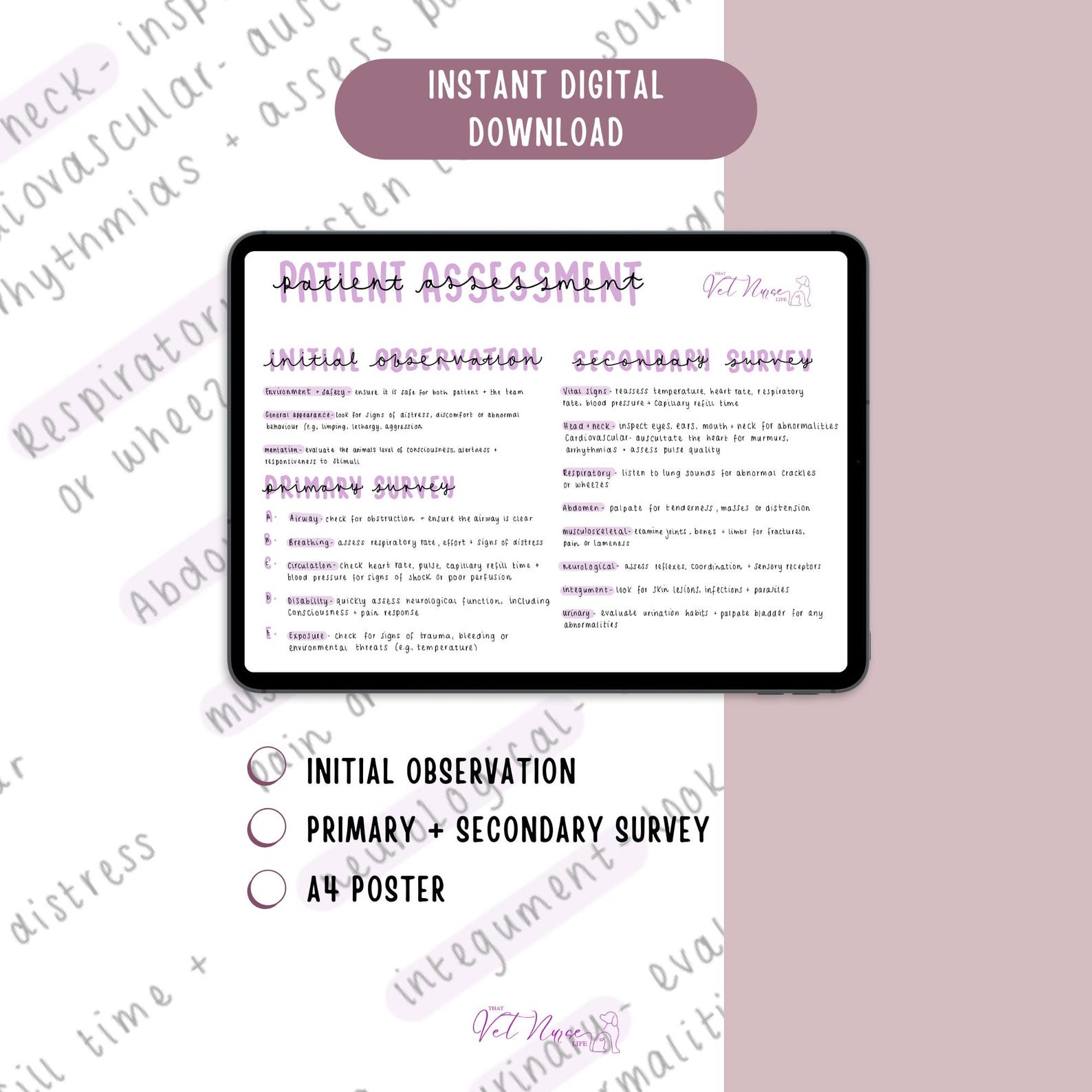 Veterinary Patient Assessment Poster: Vet Nurse Primary & Secondary ...
