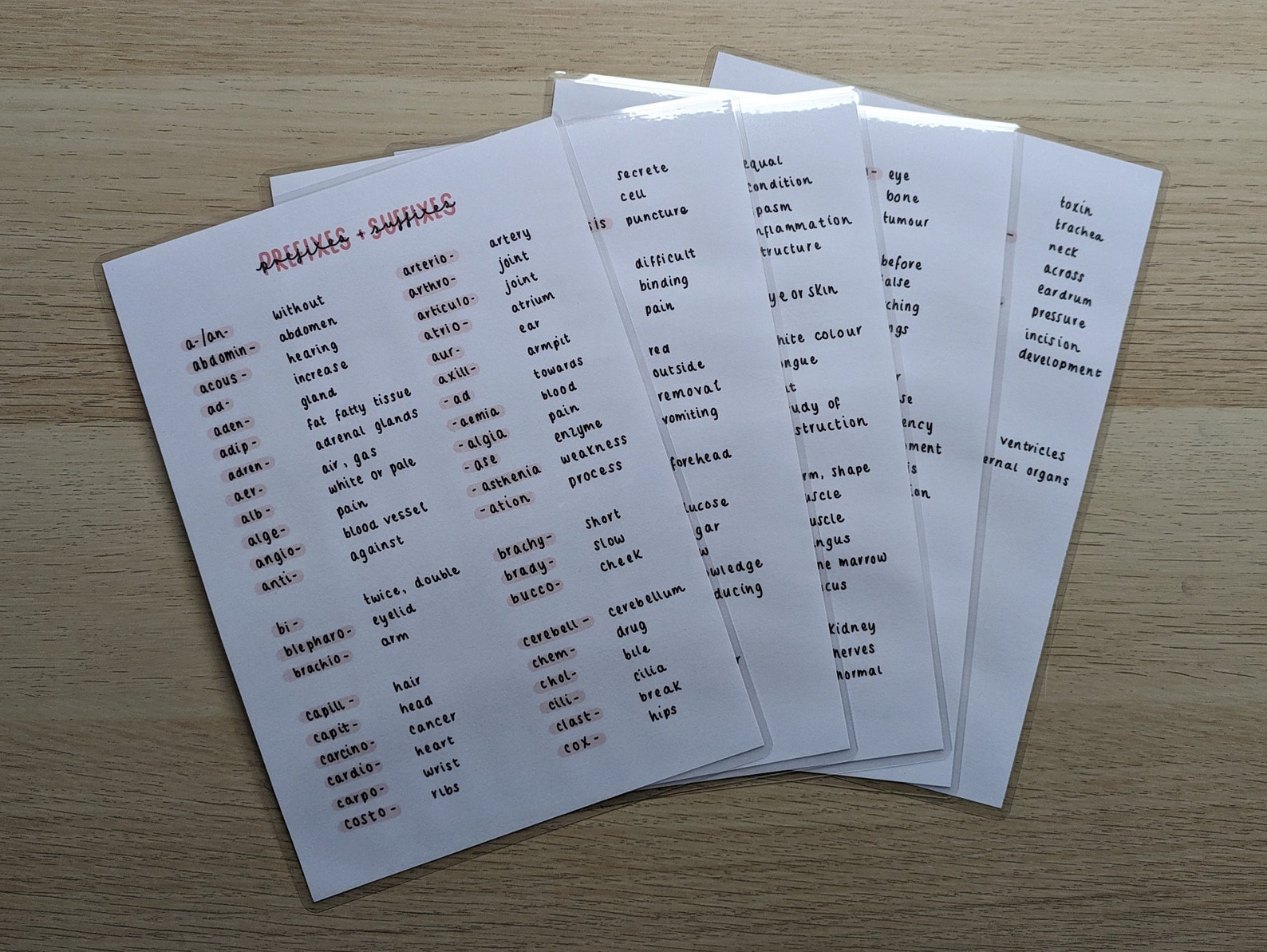 A5 Prefixes Suffixes Veterinary Terminology 5-page Guide Veterinary ...
