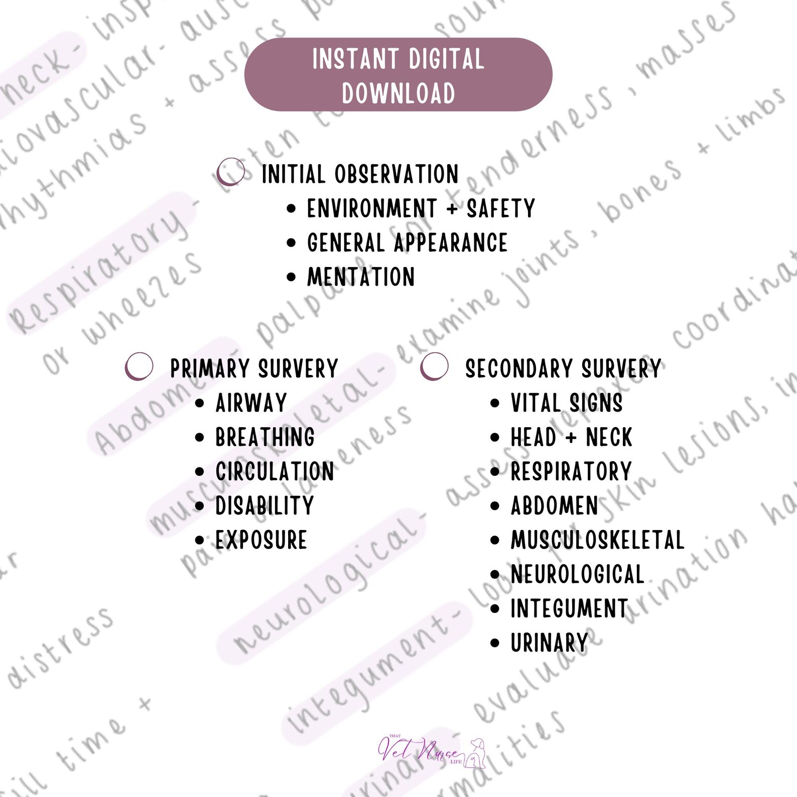 Veterinary Patient Assessment Poster: Vet Nurse Primary & Secondary ...