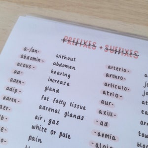 A5 Prefixes Suffixes Veterinary Terminology 5-page Guide Veterinary ...