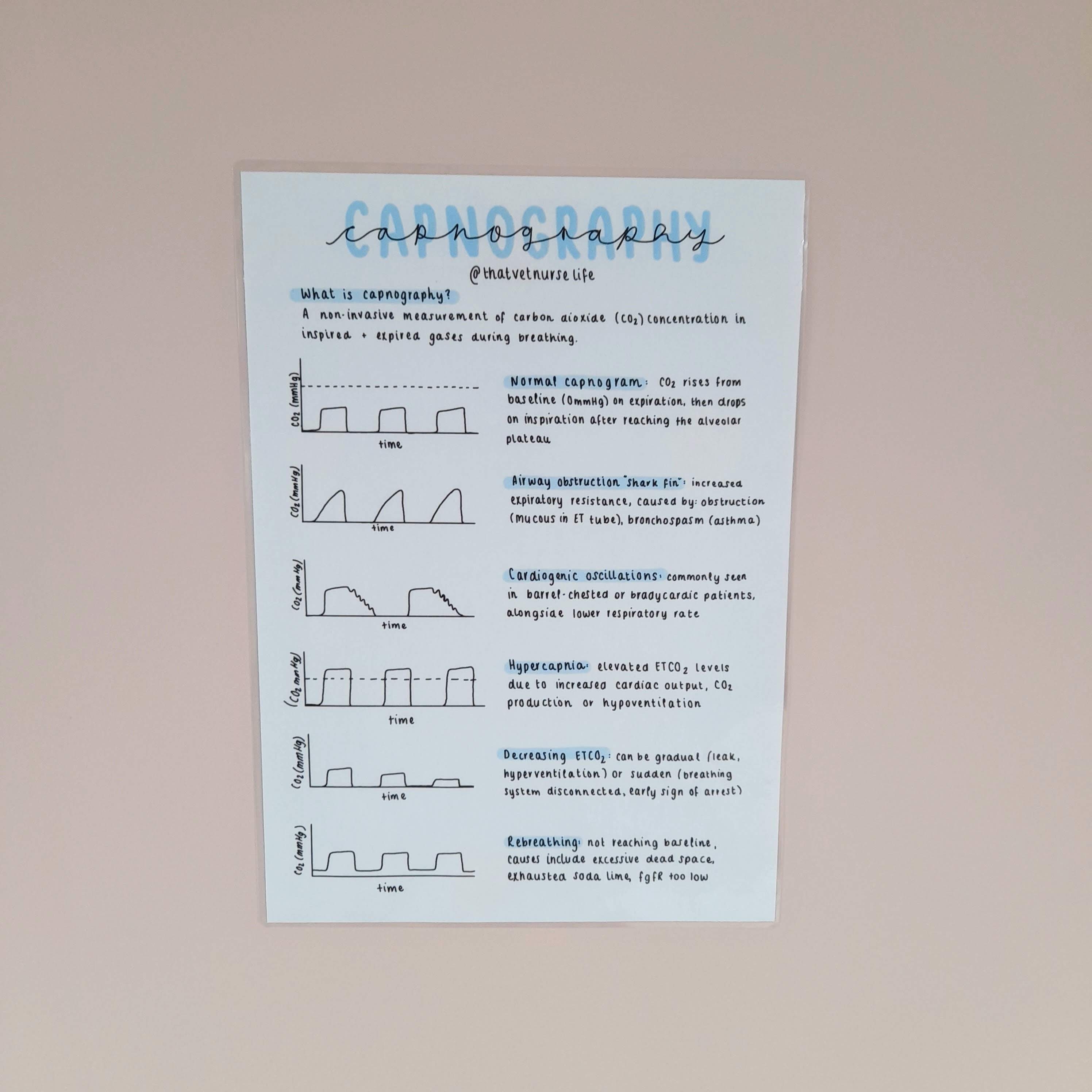 A4 Quick Reference Illustrated Capnography Traces Poster Veterinary ...