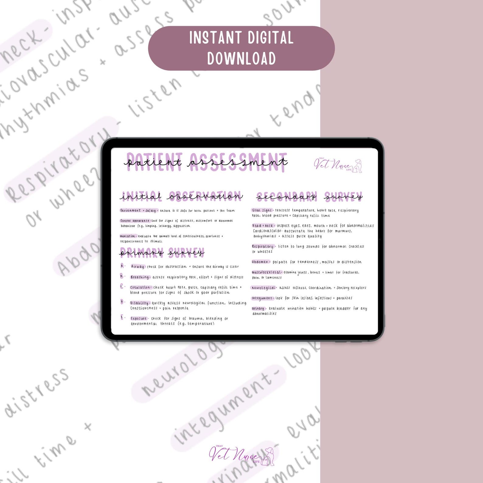 Veterinary Patient Assessment Poster: Vet Nurse Primary & Secondary ...