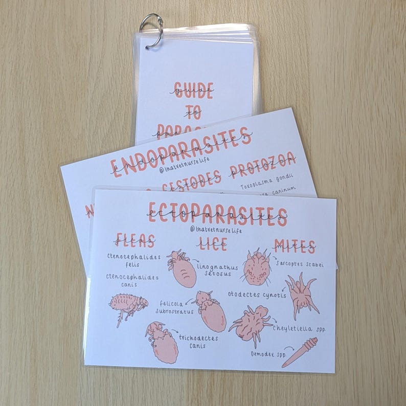 A5 Parasite Poster Basic Parasitology for Student Veterinary Nurse Tech ...