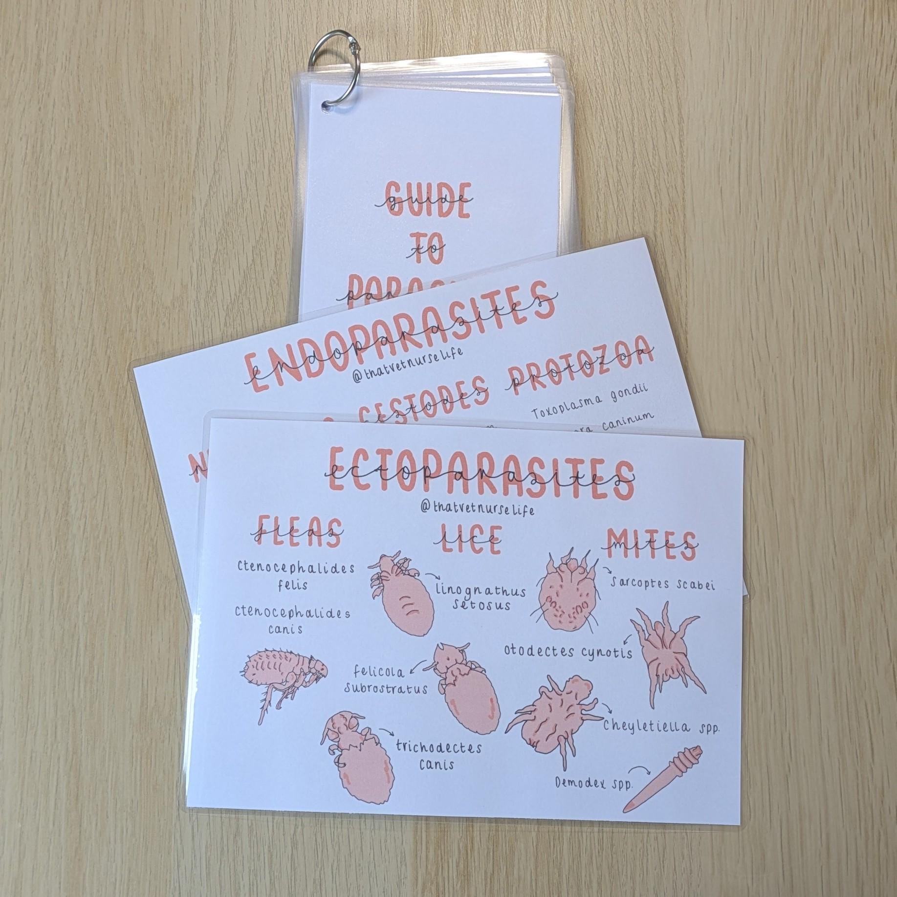 A5 Parasite Poster Basic Parasitology for Student Veterinary Nurse Tech ...