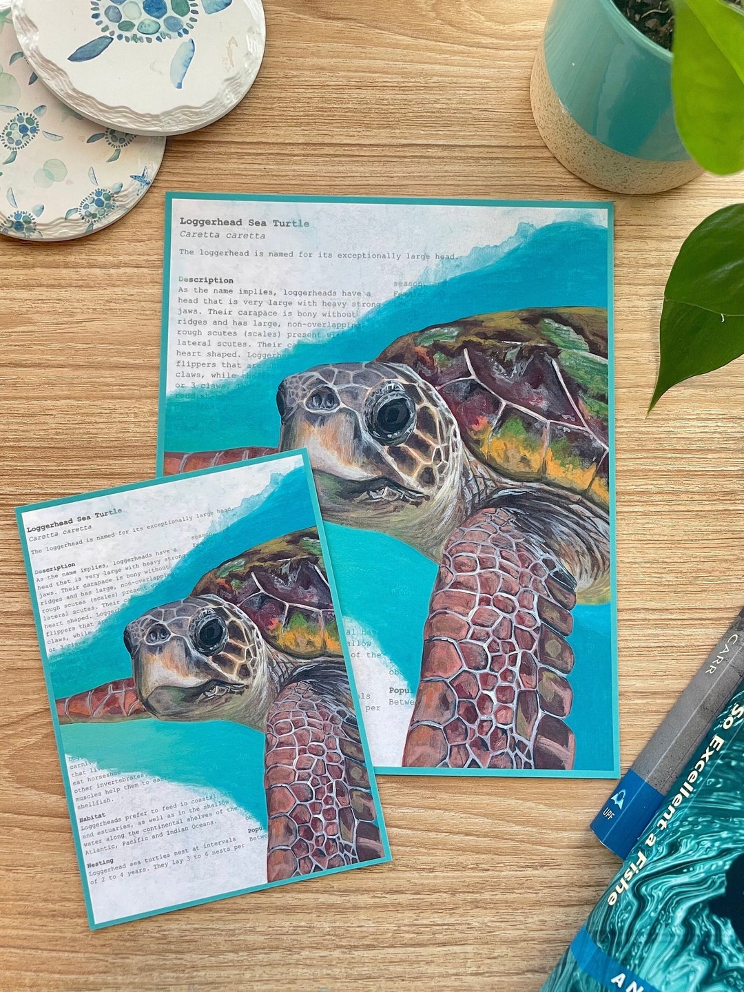 Loggerhead Sea Turtle Art Print: Marine Wildlife Acrylic Painting - Etsy