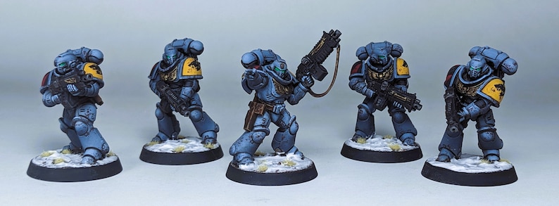 Commission 5x Painted Primaris Heavy Intercessors Space Marine 40k ANY ...