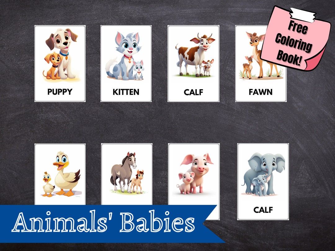 ANIMALS' BABIES (cartoon Pictures) *15 Montessori Cards -> Flash Cards ...