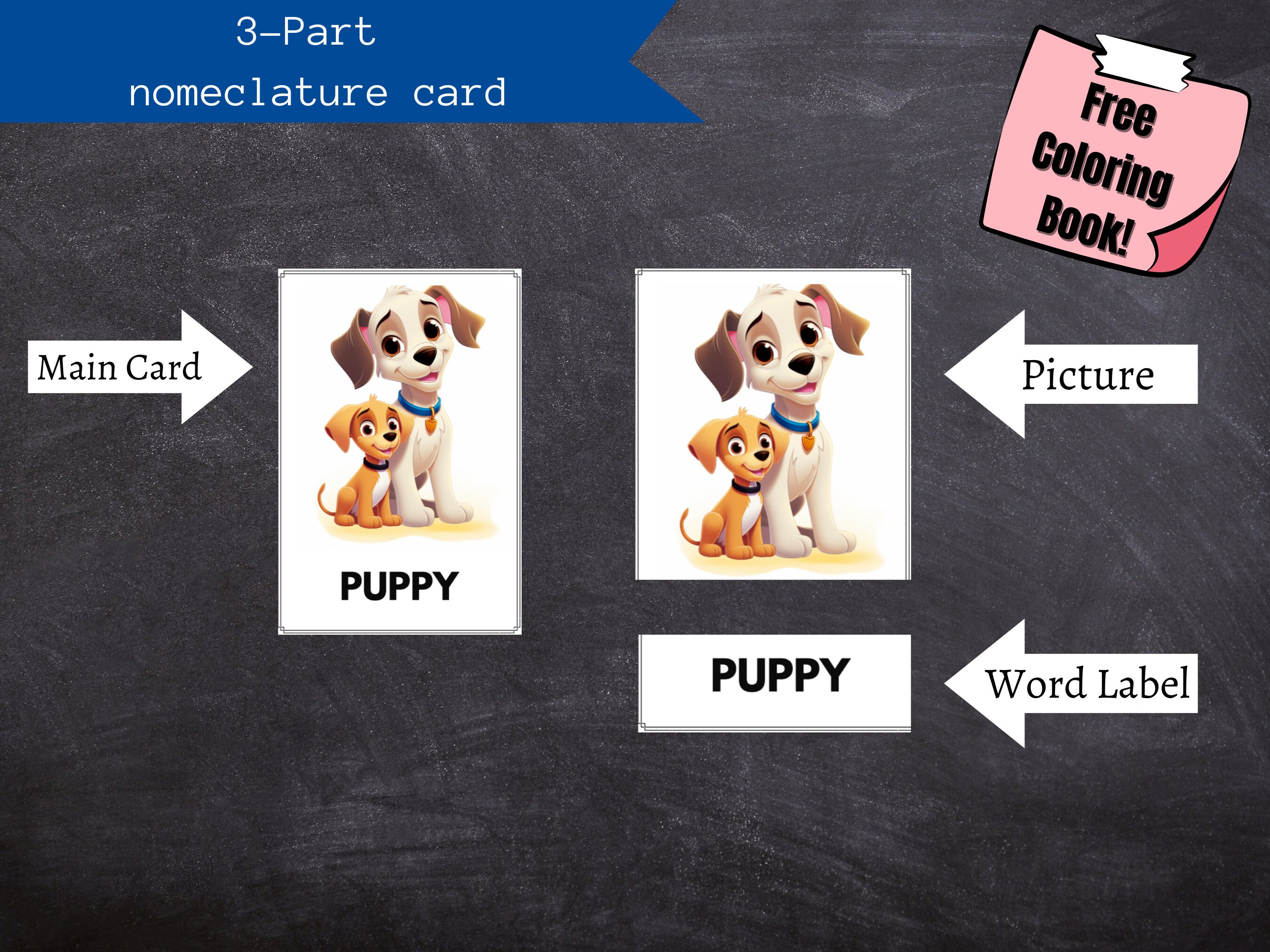 ANIMALS' BABIES (cartoon Pictures) *15 Montessori Cards -> Flash Cards ...