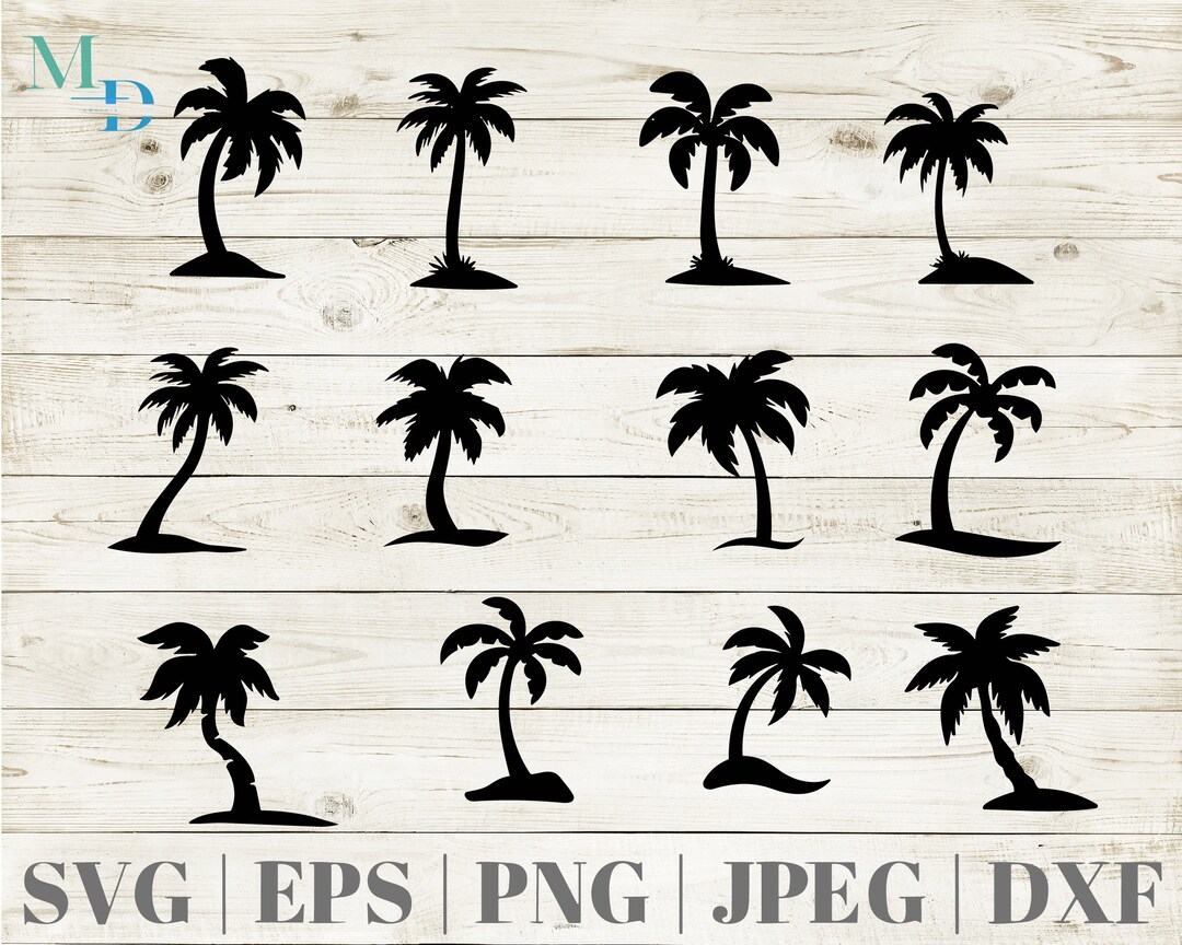 Palm Tree Beach SVG 12 Designs Bundle Tree Svg Big Tree Svg - Etsy