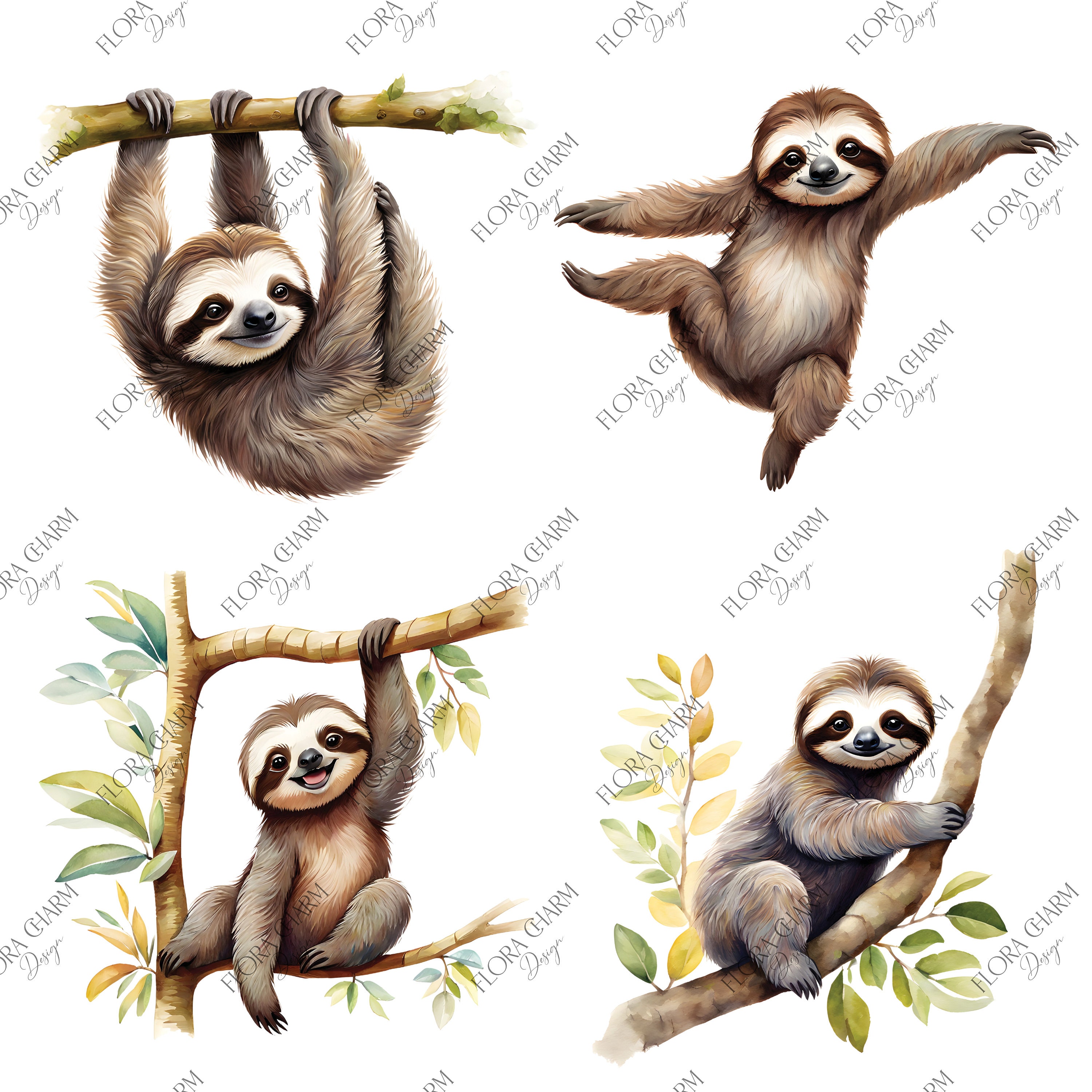 Watercolor Sloth Clipart, Stretching Yoga Sloths PNG, High Quality ...