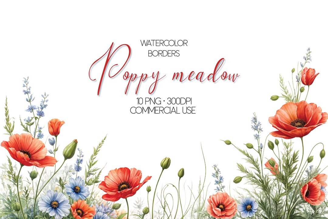 Poppy Borders, Watercolor Flower Clipart, Summer Wildflower Meadow PNG ...