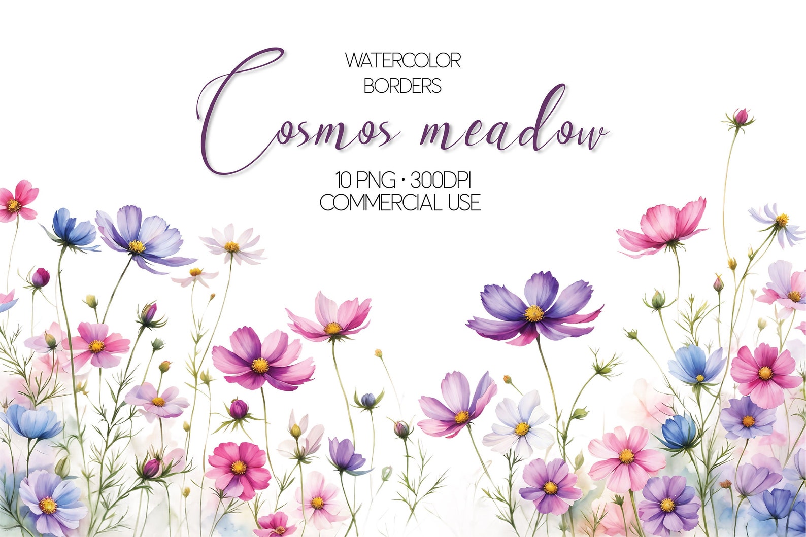 Cosmos Meadow Border, Watercolor Floral Borders, Wild Flowers, Summer ...