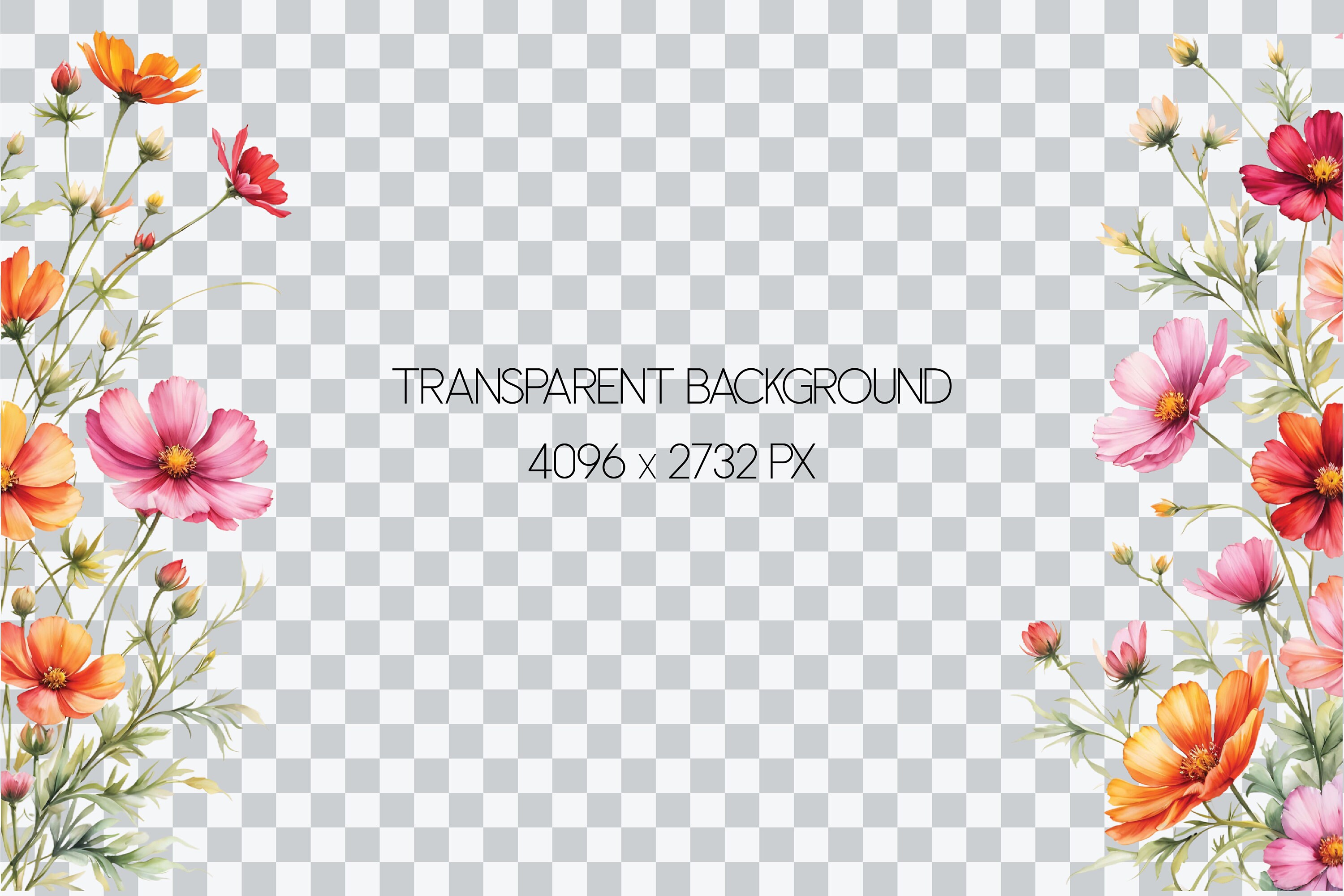 Cosmos Meadow Border, Watercolor Floral Borders, Wild Flowers, Summer ...