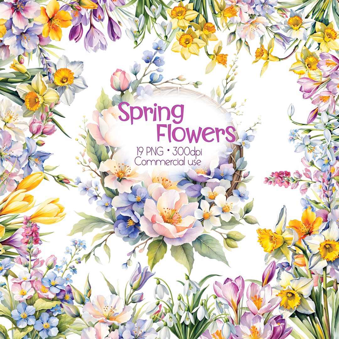 Spring Flowers Clipart Bundle, Snowdrops, Daffodils, Crocuses, Forget ...