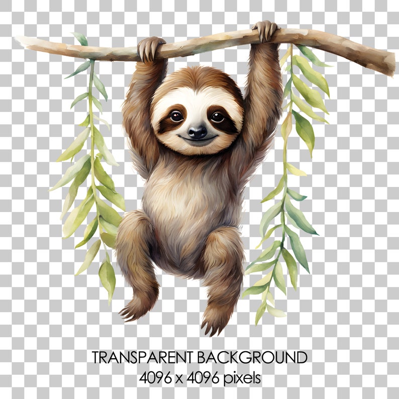 Watercolor Sloth Clipart, Stretching Yoga Sloths PNG, High Quality ...