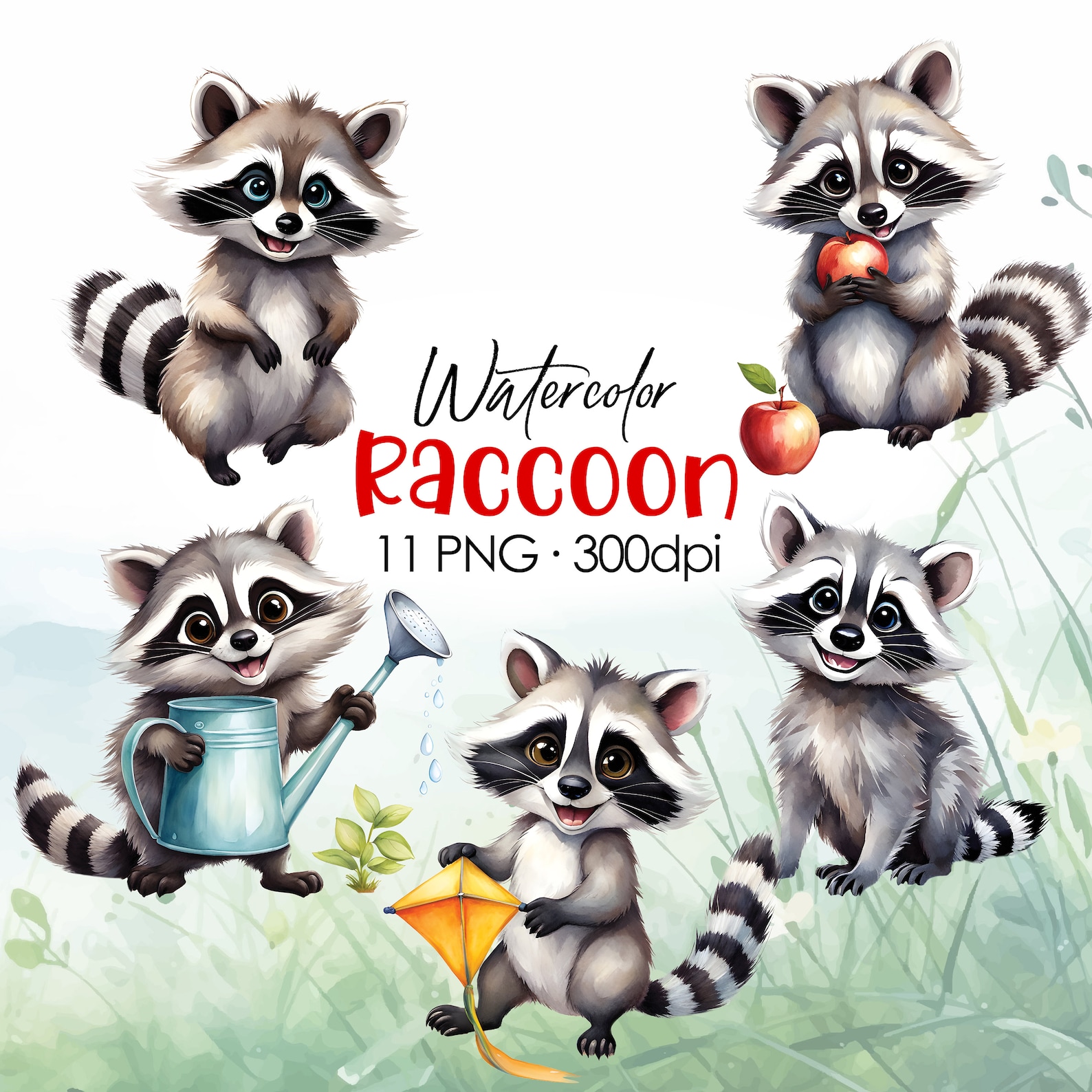 Watercolor Raccoon PNG Bundle, Transparent Background, Digital Download ...