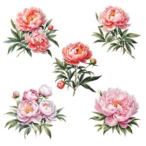 Watercolor Peony Clipart, Summer Flowers PNG, Watercolor Peonies ...