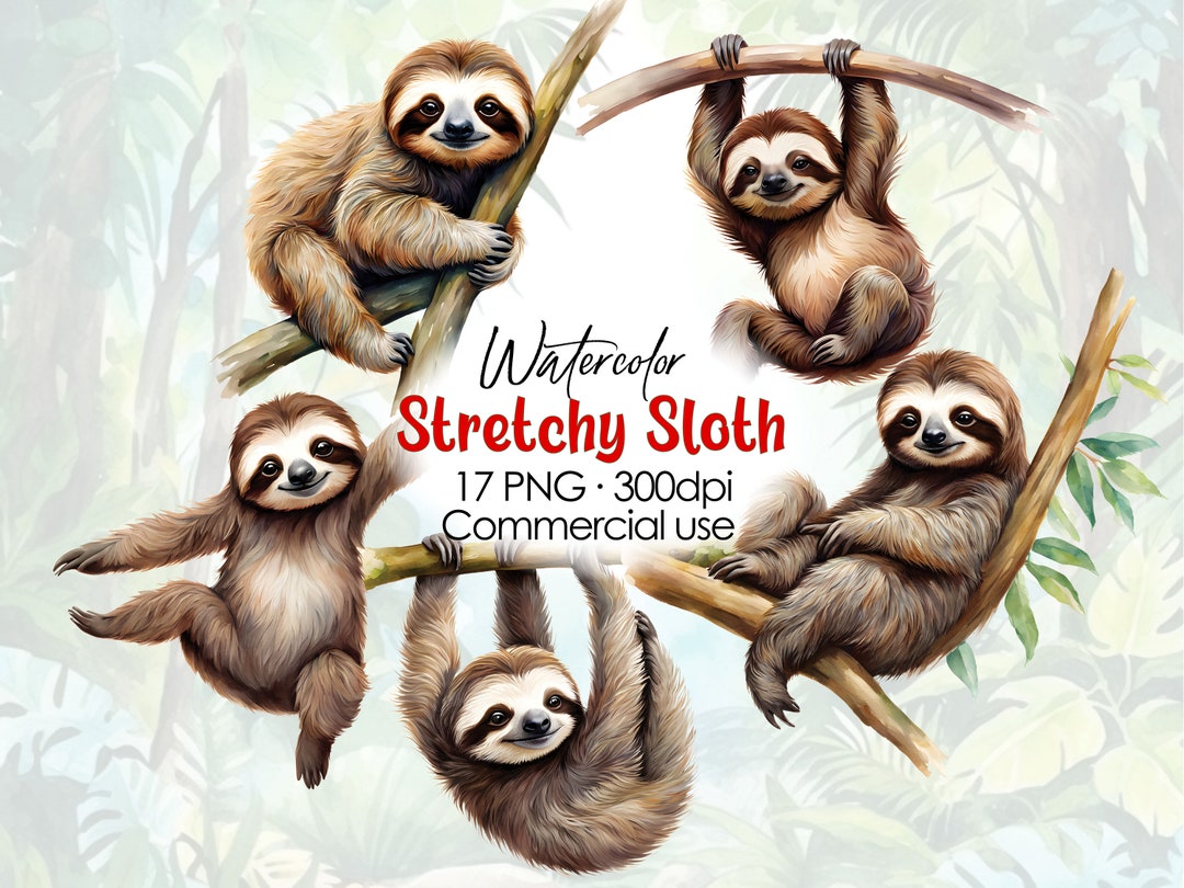 Watercolor Sloth Clipart, Stretching Yoga Sloths PNG, High Quality ...