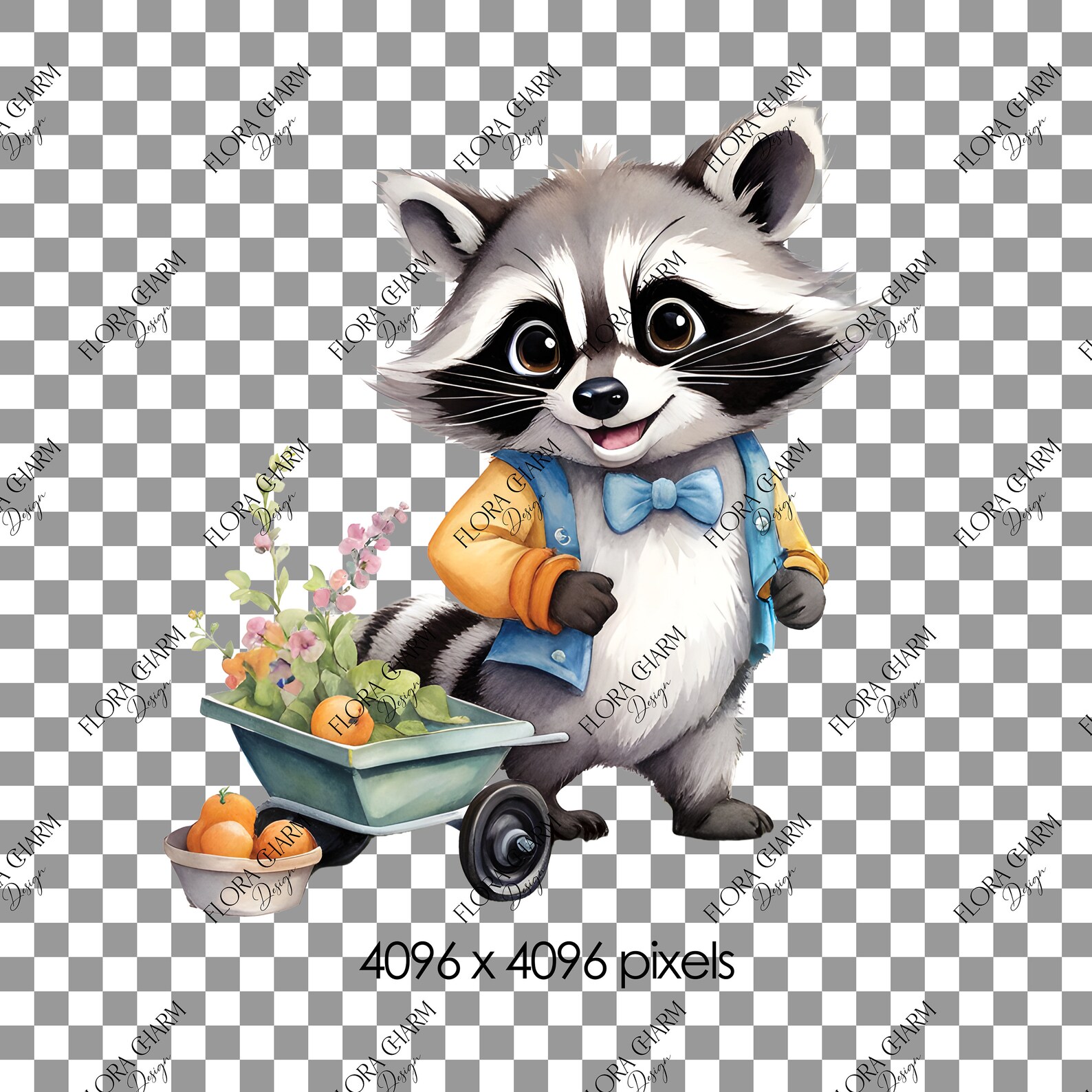 Watercolor Raccoon PNG Bundle, Transparent Background, Digital Download ...