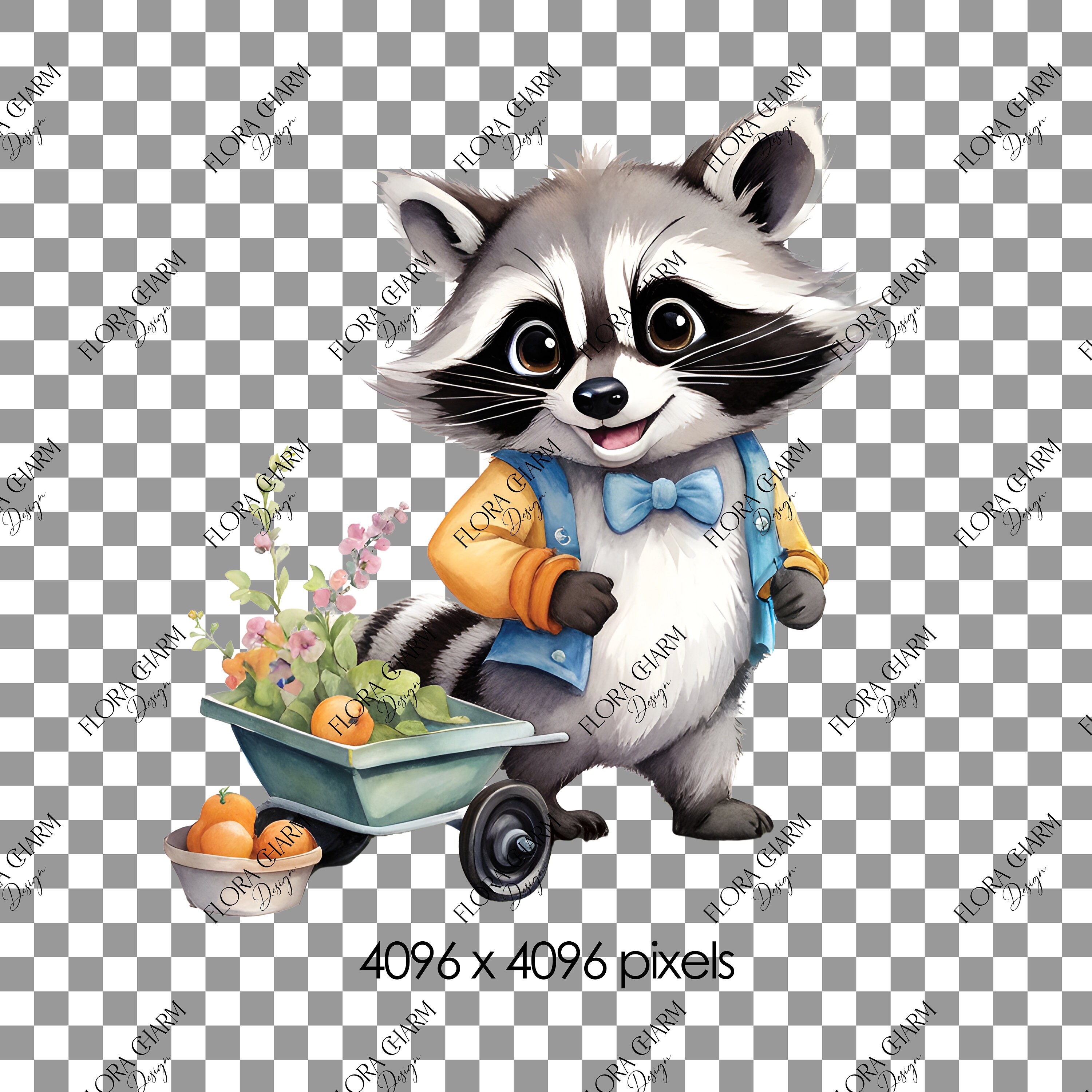 Watercolor Raccoon PNG Bundle, Transparent Background, Digital Download ...