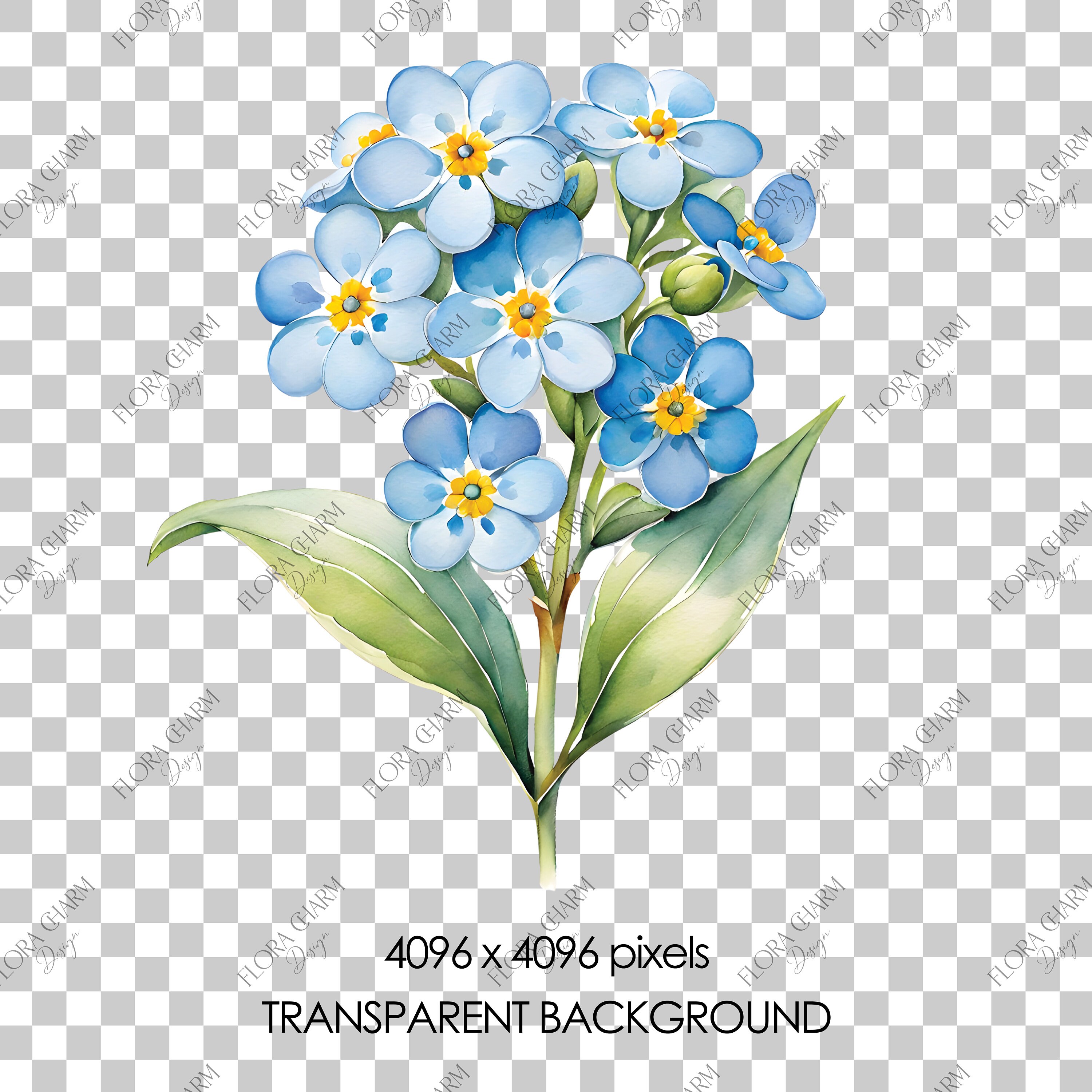 Watercolor Forget-me-not Clipart, Blue Wildflowers Bouquet, Summer ...