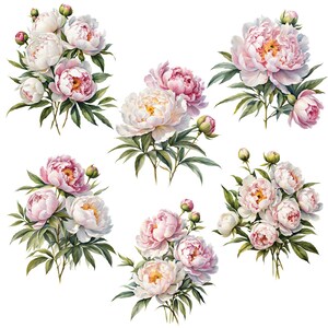 Watercolor Peony Clipart, Summer Flowers PNG, Watercolor Peonies ...