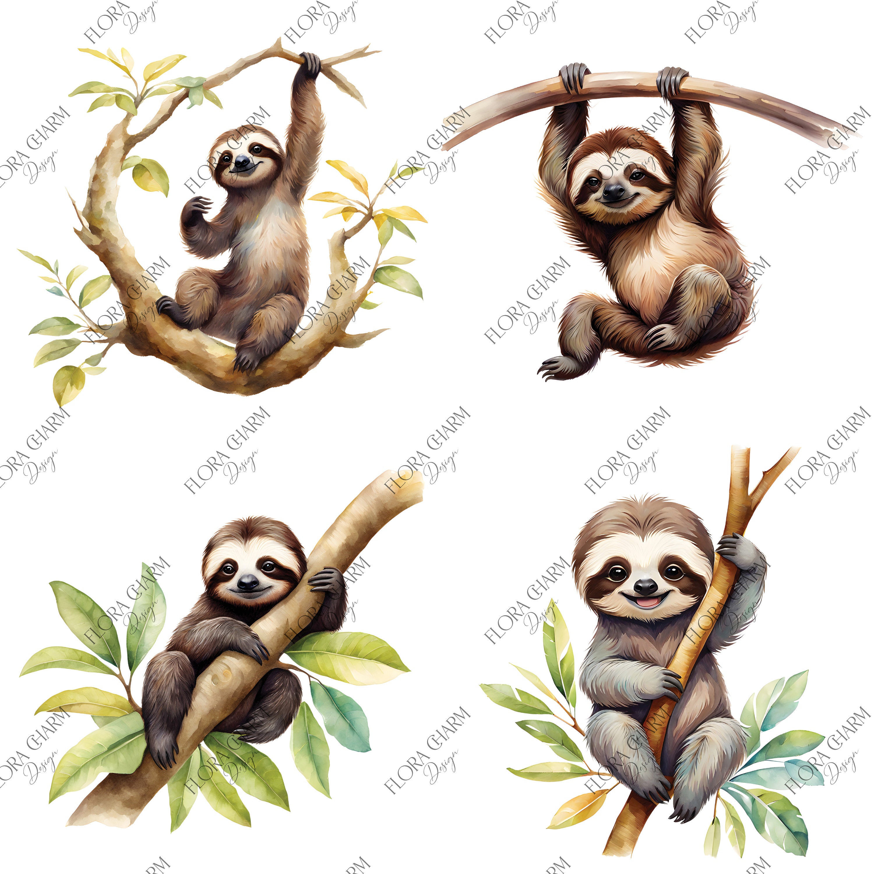 Watercolor Sloth Clipart, Stretching Yoga Sloths PNG, High Quality ...