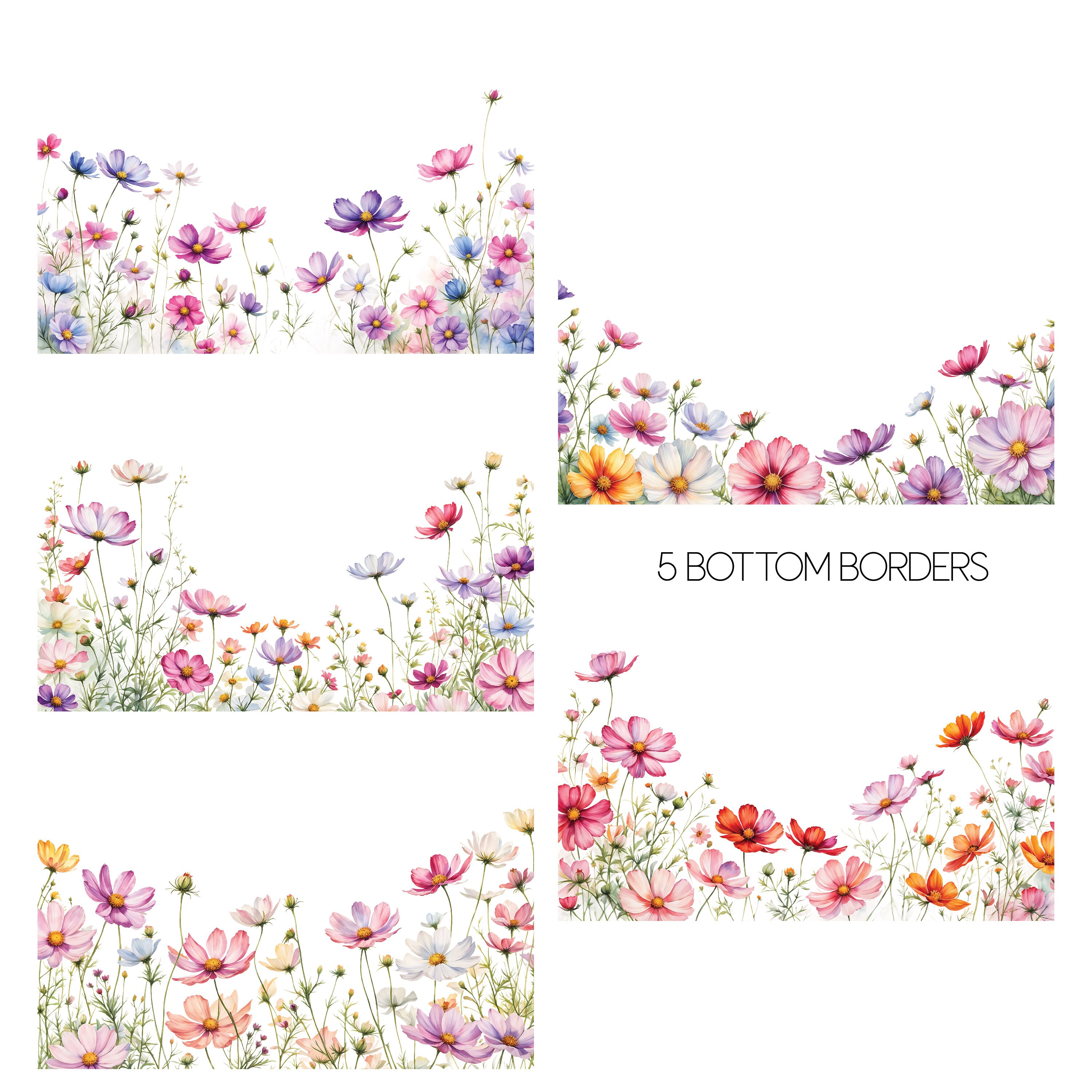 Cosmos Meadow Border, Watercolor Floral Borders, Wild Flowers, Summer ...