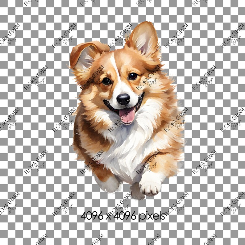 Pembroke Welsh Corgi Watercolor Clipart, High-resolution Transparent ...