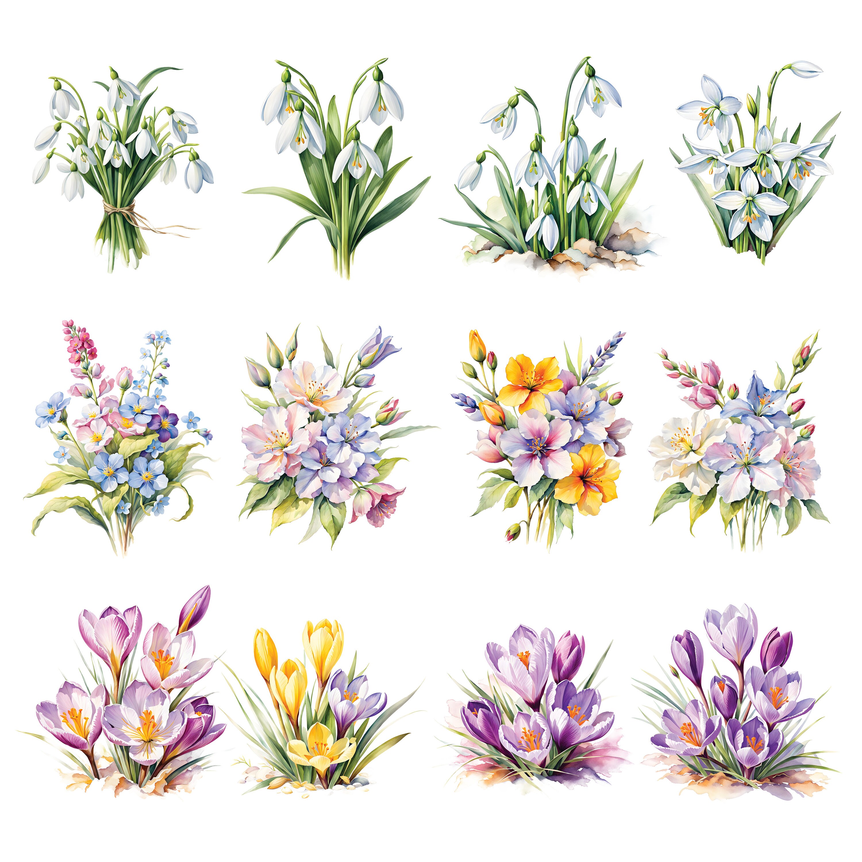 Spring Flowers Clipart Bundle, Snowdrops, Daffodils, Crocuses, Forget ...
