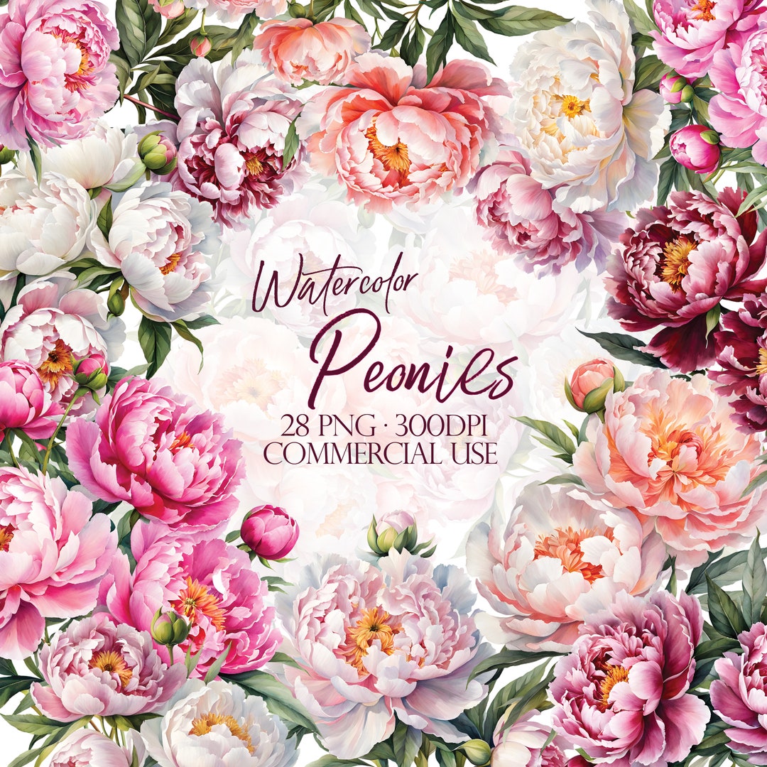 Watercolor Peony Clipart, Summer Flowers PNG, Watercolor Peonies ...
