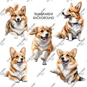 Pembroke Welsh Corgi Watercolor Clipart, High-resolution Transparent ...