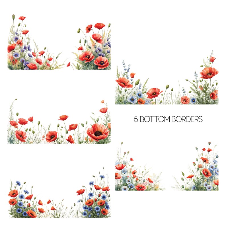 Poppy Borders, Watercolor Flower Clipart, Summer Wildflower Meadow PNG ...