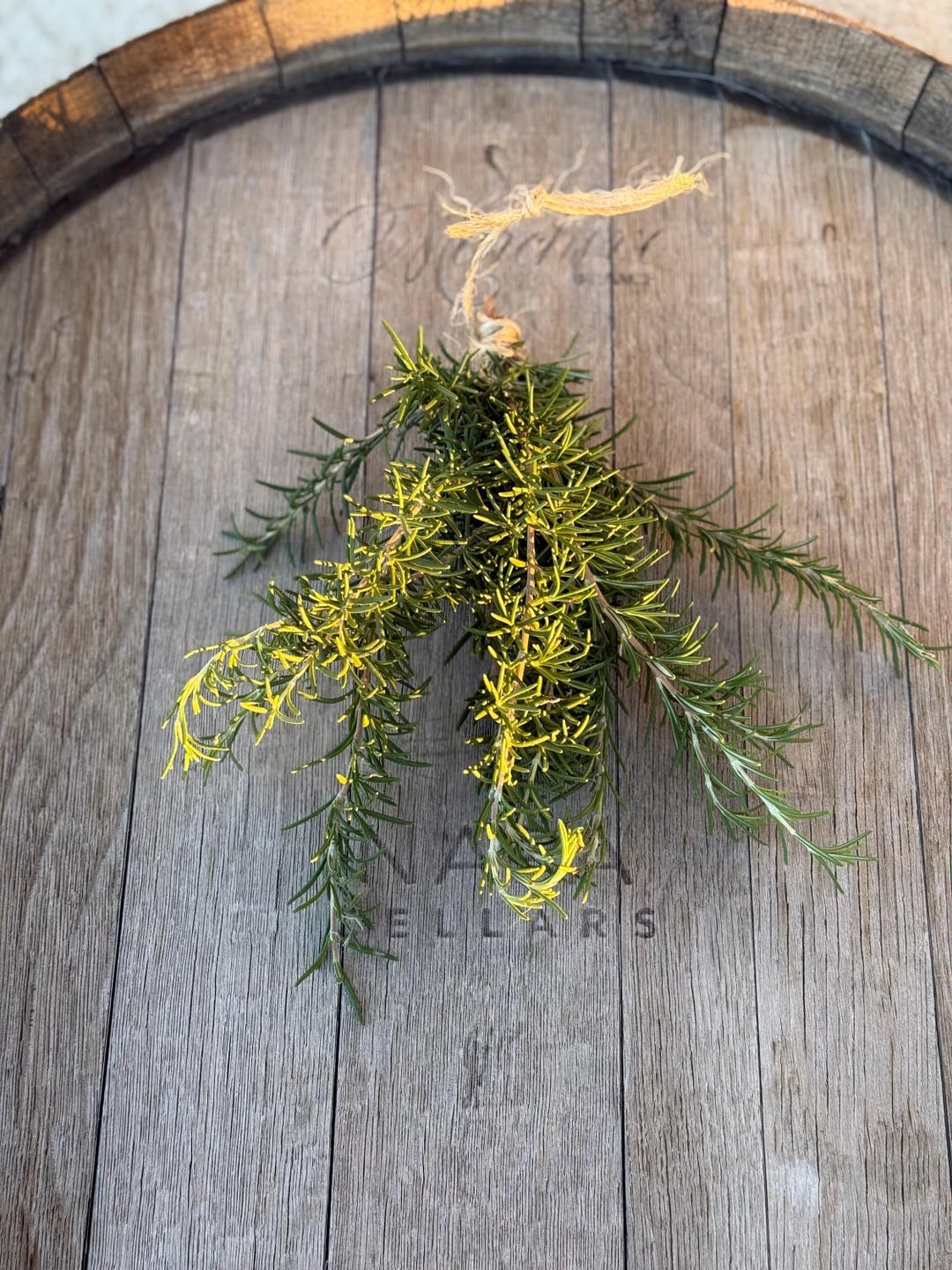Fresh Tuscan Rosemary Bundle - Etsy