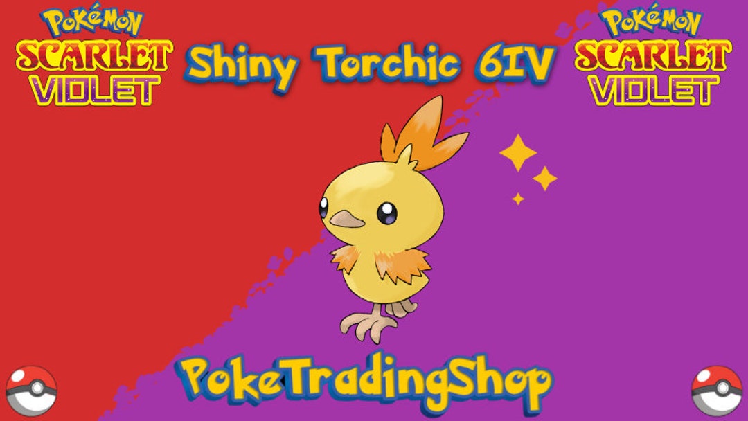 Shiny 6IV Torchic / Pokémon Scarlet and Violet / 6IV Pokemon / - Etsy