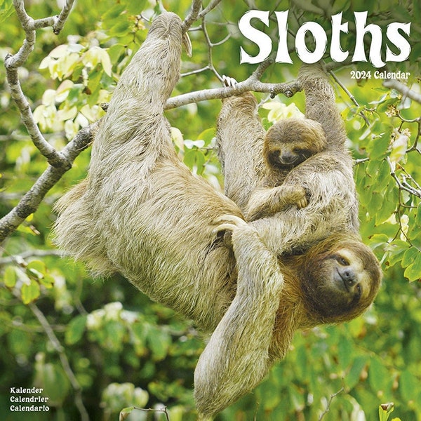 Sloth - Etsy UK
