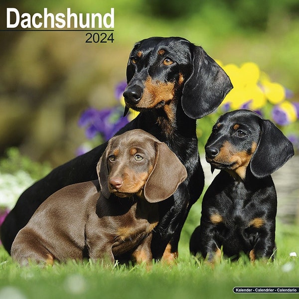 Dachshund - Etsy