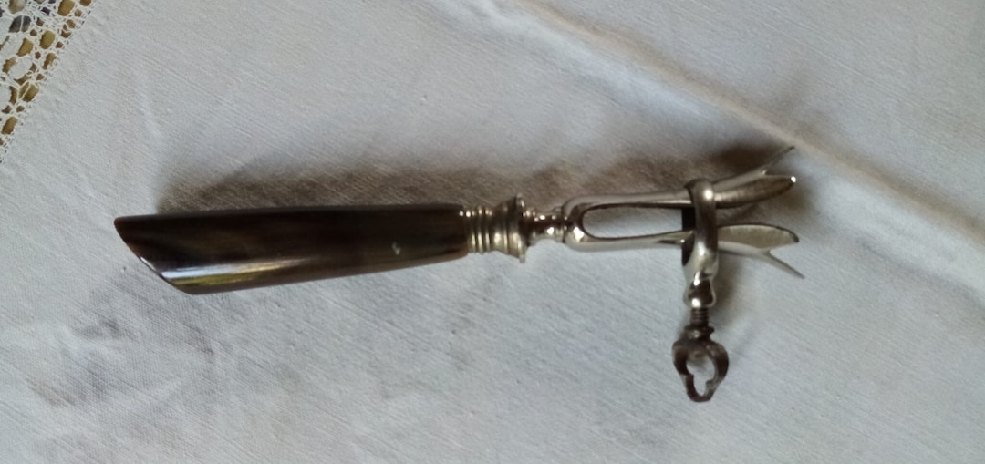 Antique French Ham Bone Holder/manche a Gigot, With Horn Handle, for ...