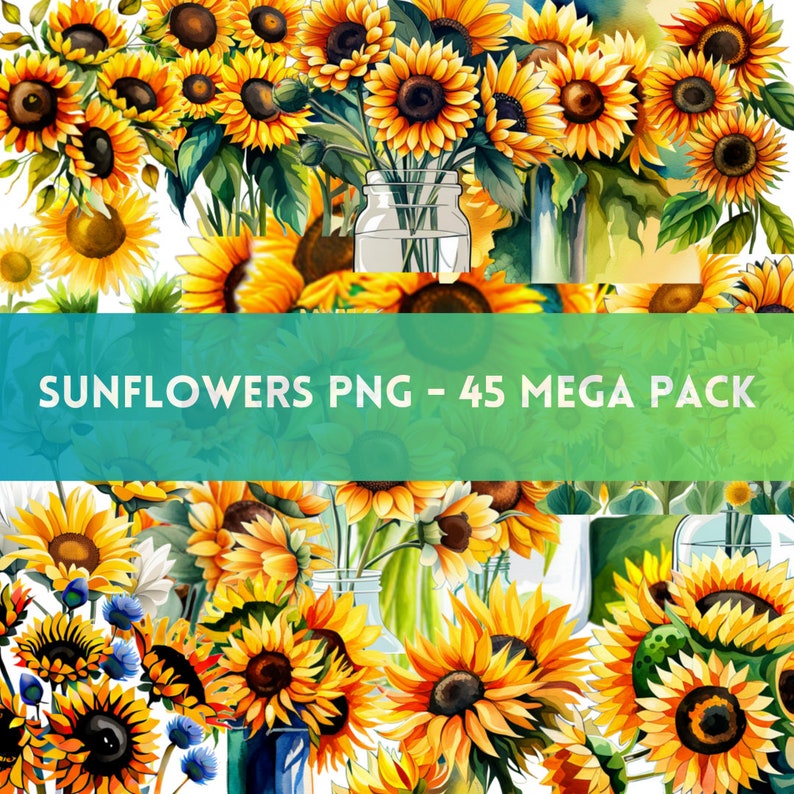 Sunflowers PNG Clip Art - 45+ Mega Pack - Transparent Background - Etsy