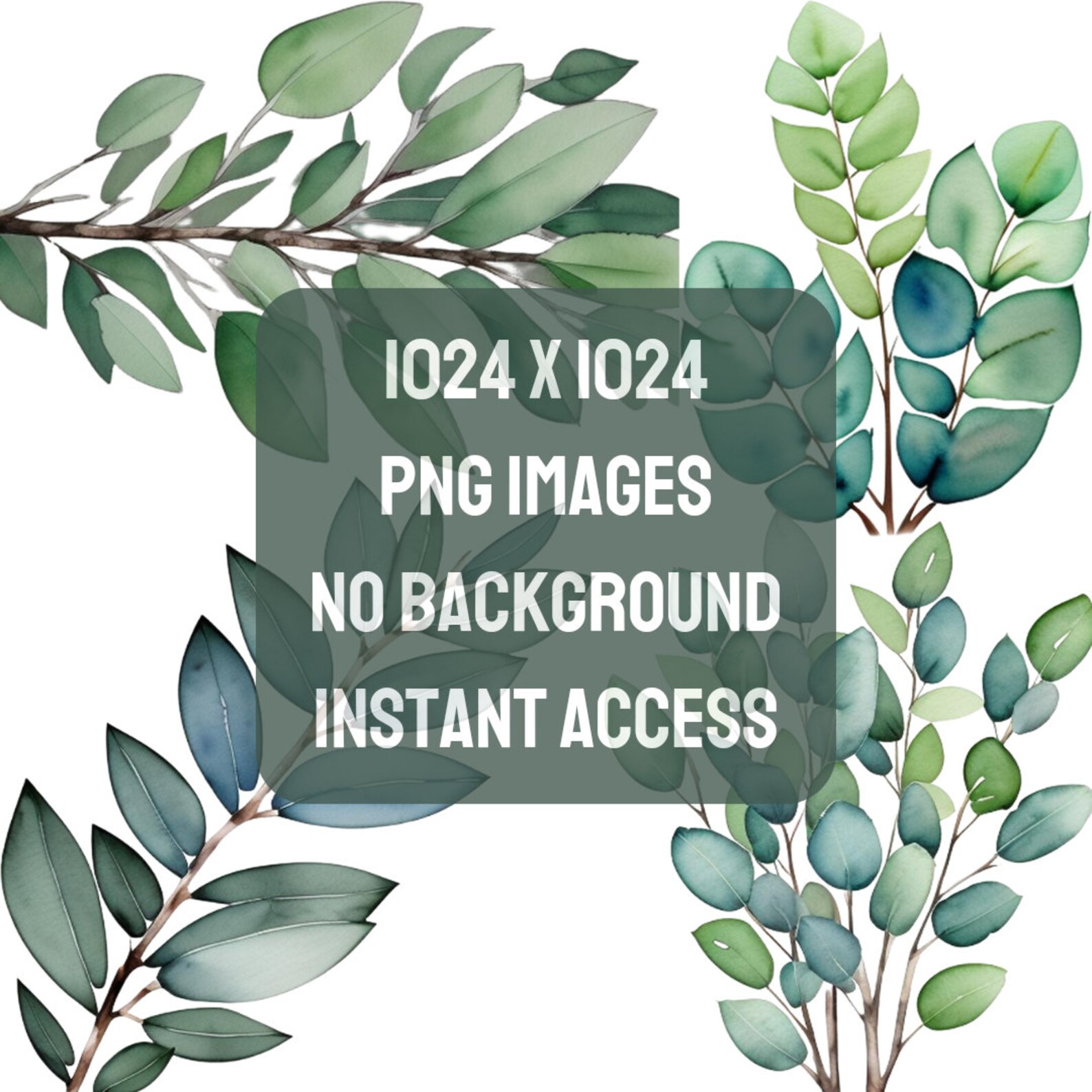 Eucalyptus Watercolor PNG Clip Art - 25+ Pack - Transparent Background ...