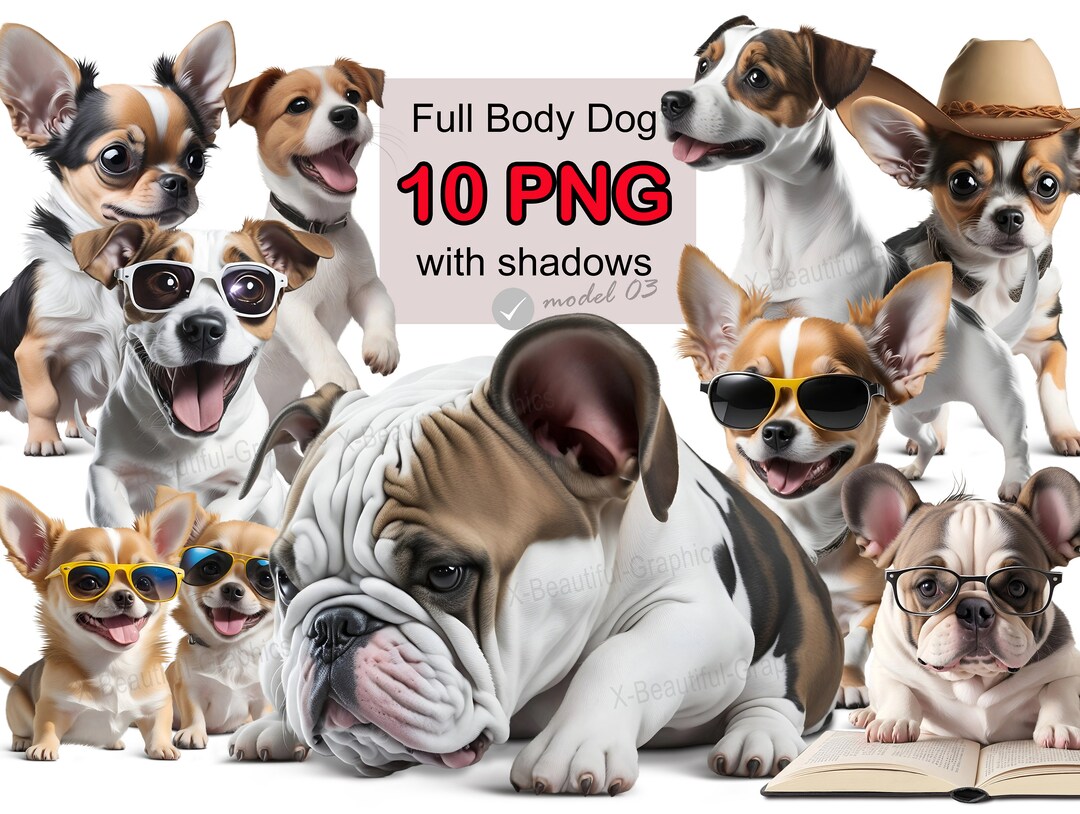 10 Full Body Dog, Dog Png, Digital Arts Dogs, Dogs Clipart Bundle, Dog ...