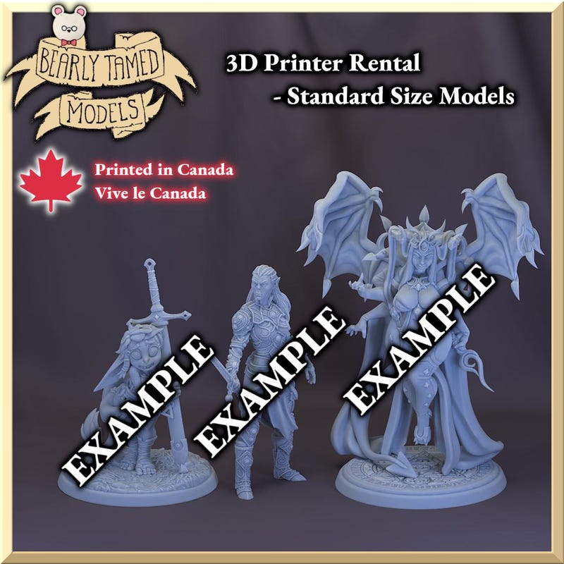 Print Heroforge Mini - Etsy