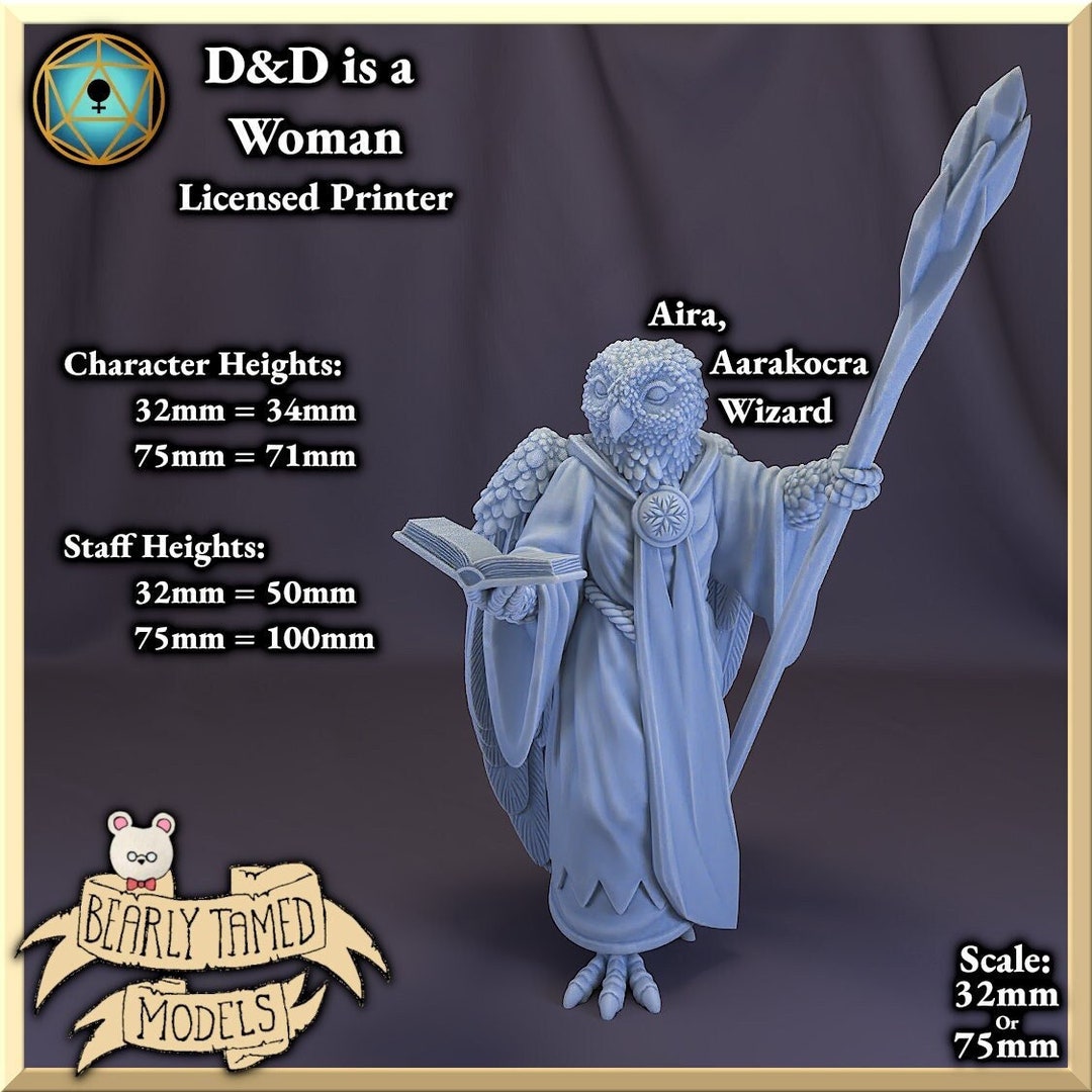 Aira Aarakocra Wizard Dnd is a Woman Printed W/ High Durability Resin ...