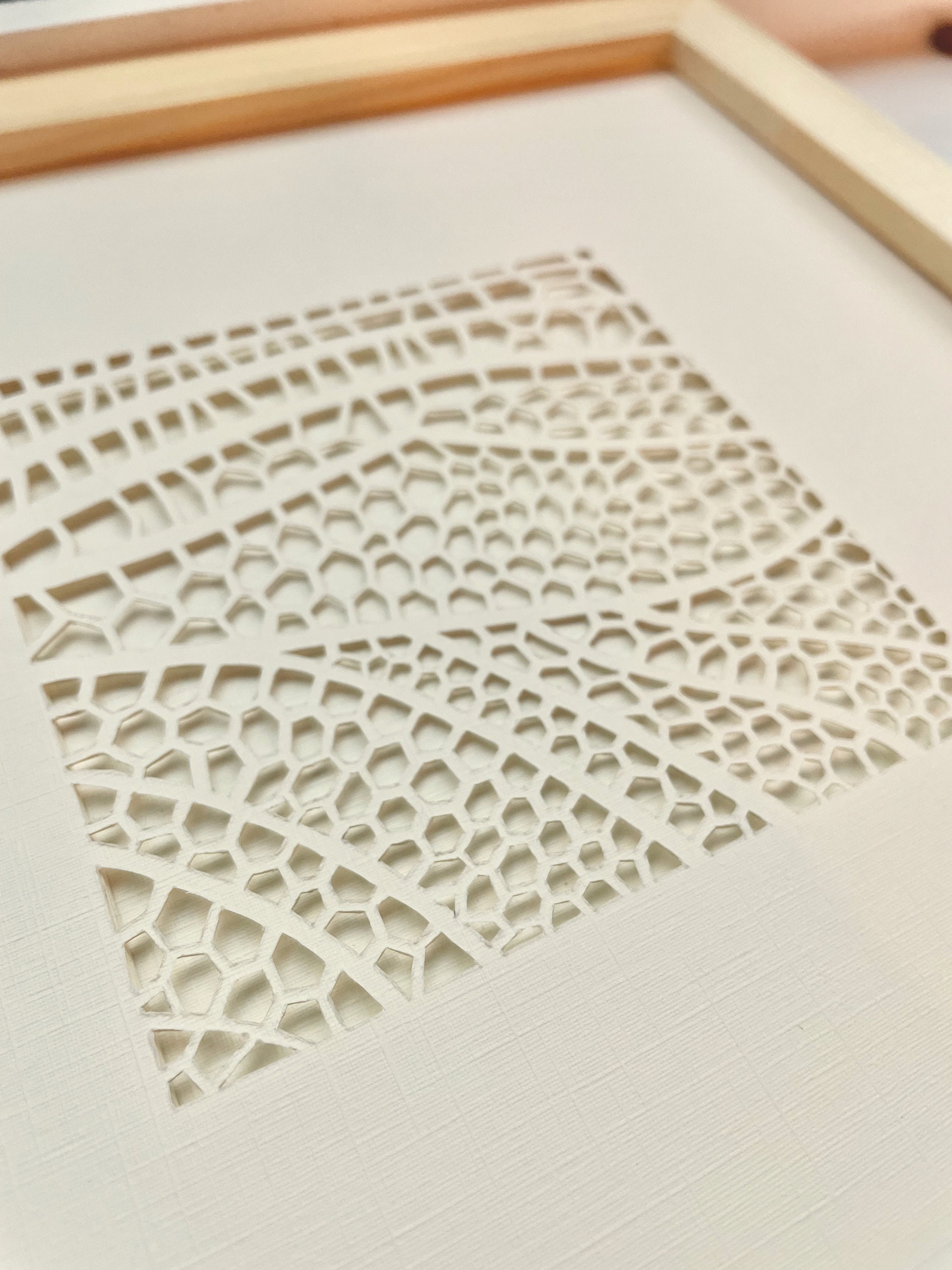 Handmade Detailed Dragonfly Paper Cut-out Relief Framed Wall Hanging - Etsy