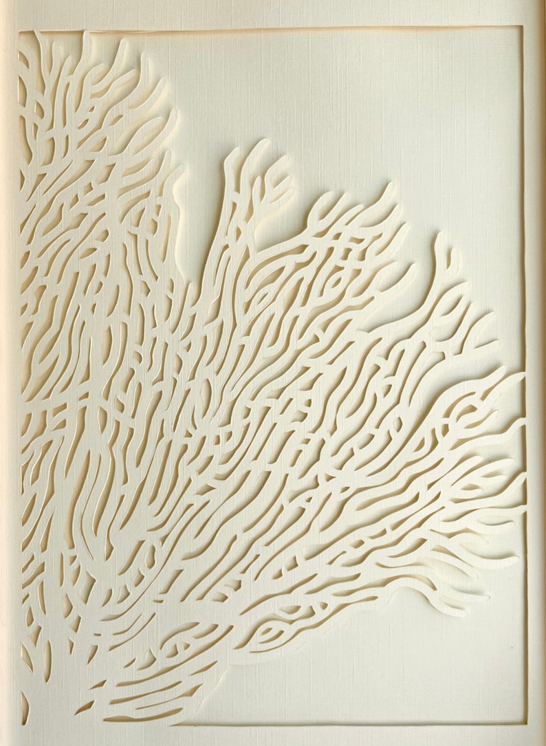 Handmade Beach Seafan Coral Paper Cut-out Relief - Nature and Ocean ...