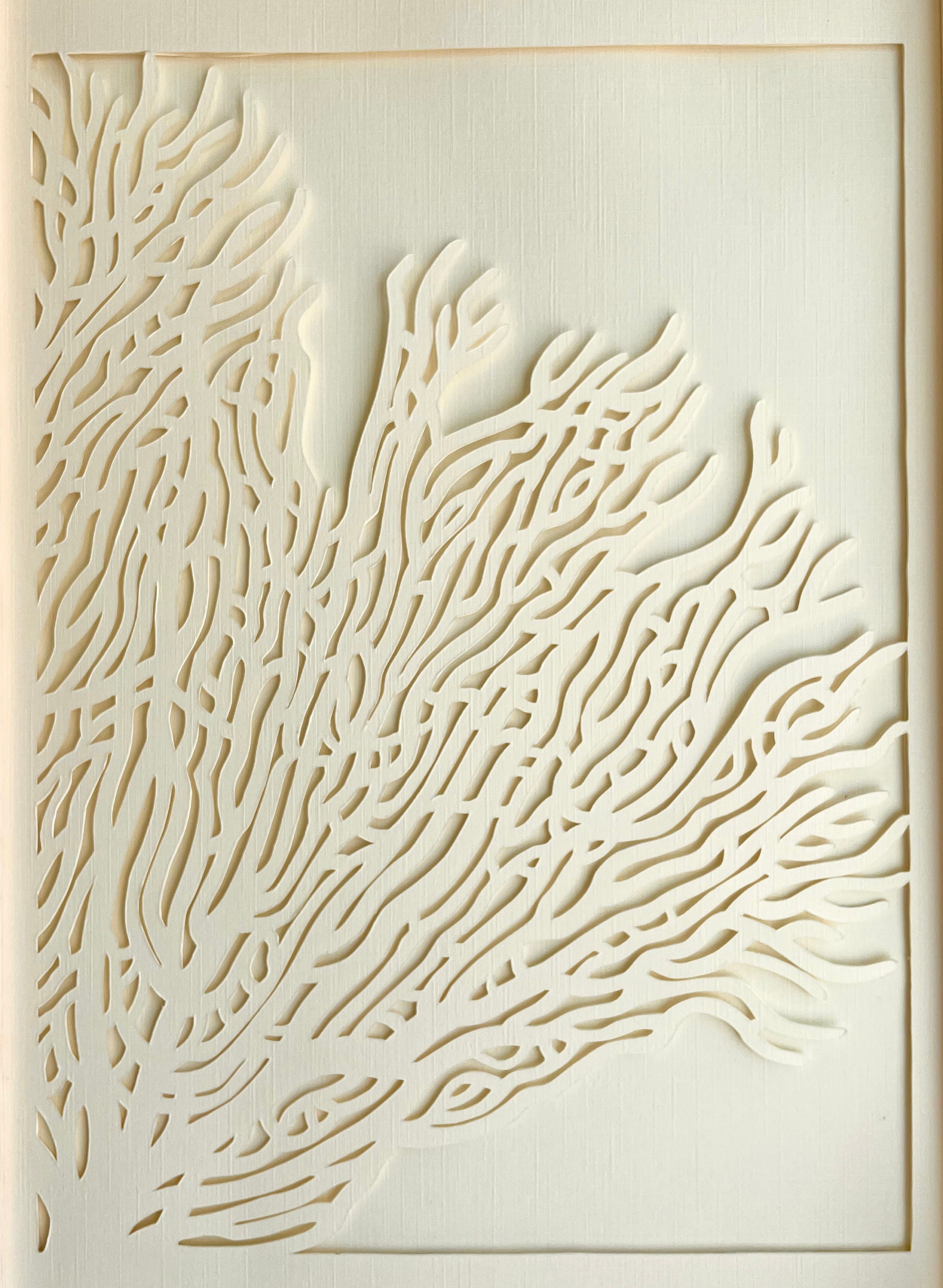 Handmade Beach Seafan Coral Paper Cut-out Relief - Nature and Ocean ...