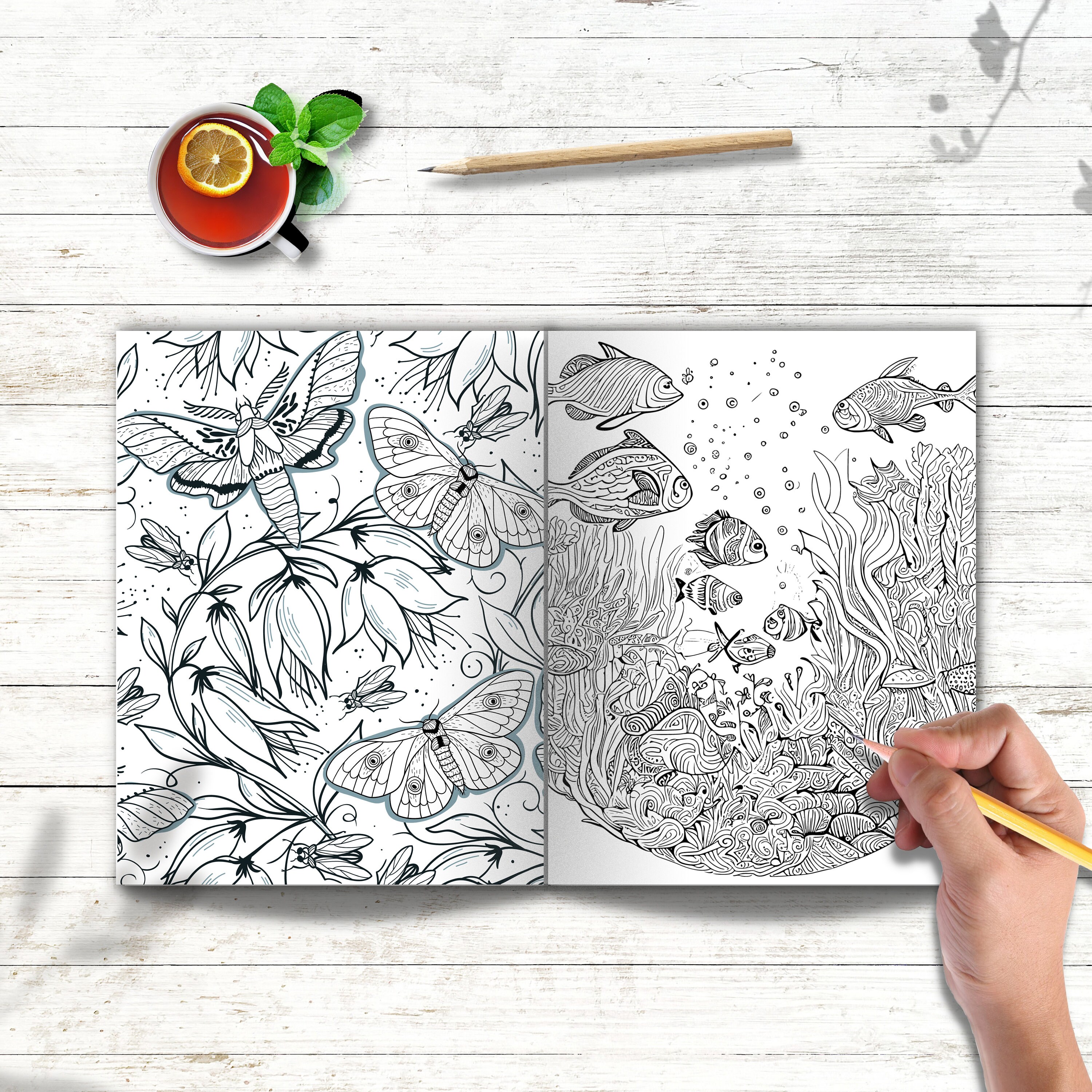 1100 Children Coloring Pages BUNDLE MRR, Coloring Books for Kids Master ...